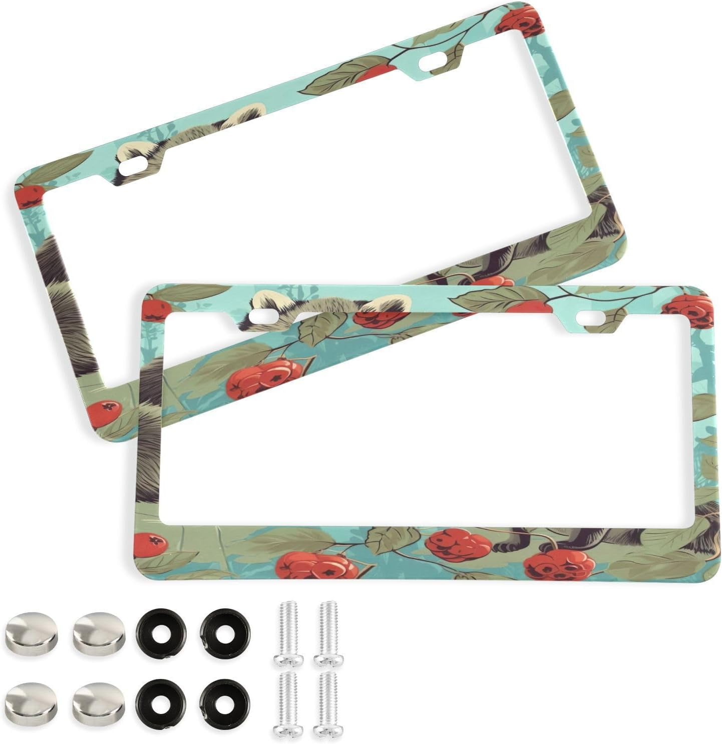 GZHJMY 2 Pcs License Plate Frame Cute Raccoon License Plate Cover ...