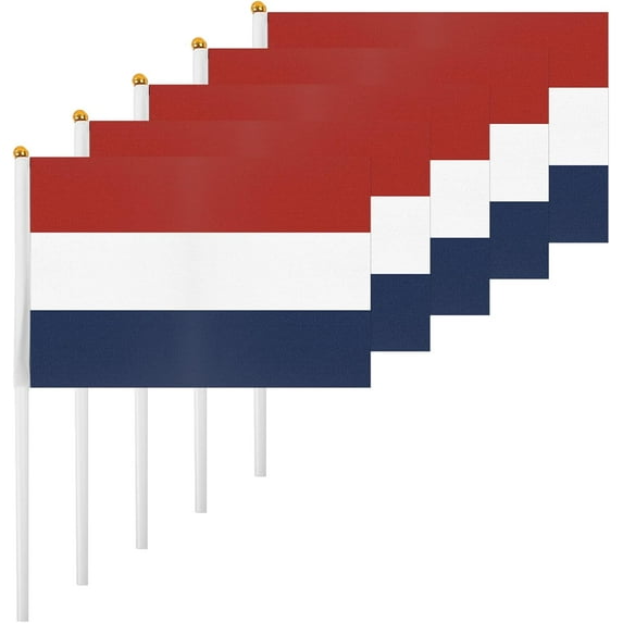 GZHJMY 20 Pack Netherlands Flags Handheld Small Banners 5 × 8 Inch ...