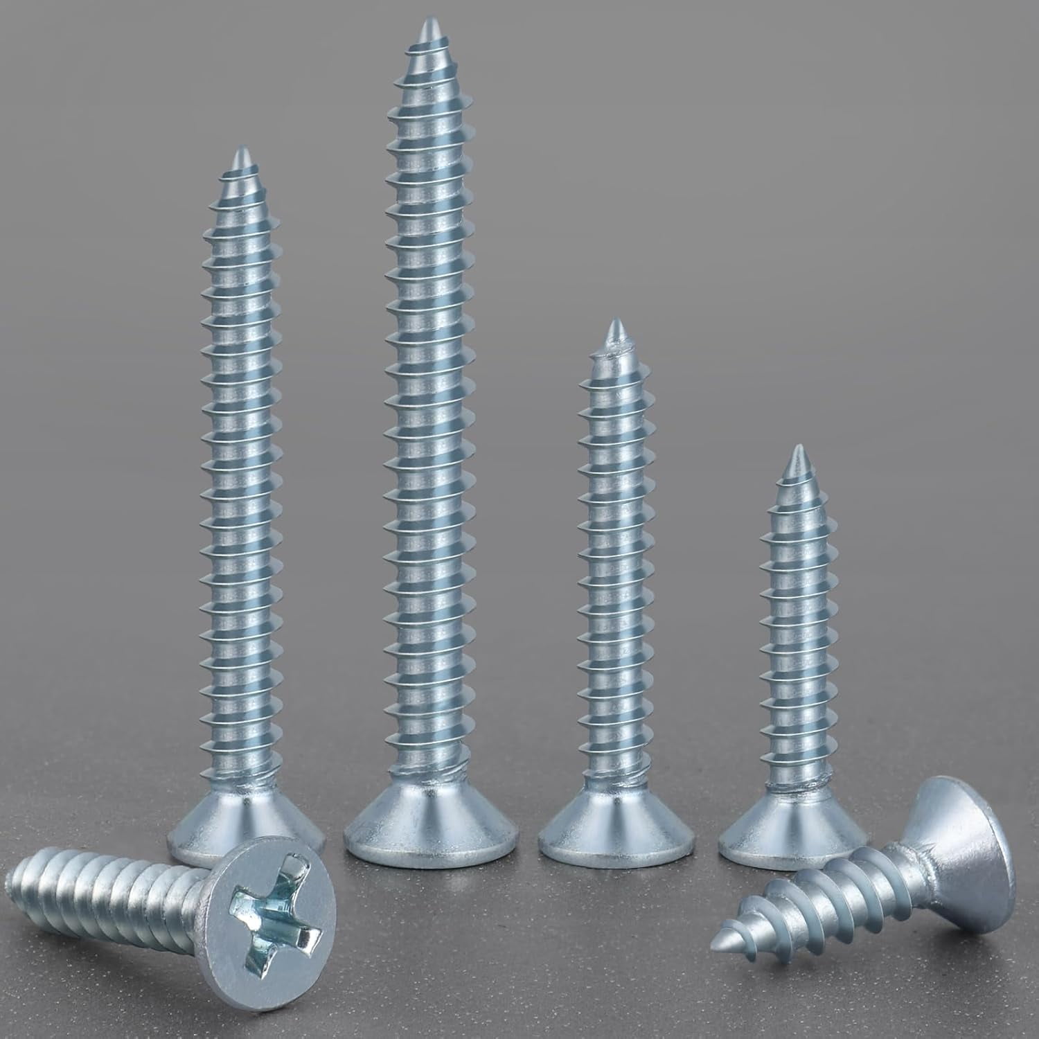 GZHJMY 250Pcs Wood Screws Variety Pack, Timber Screws, Fasteners, Screw ...
