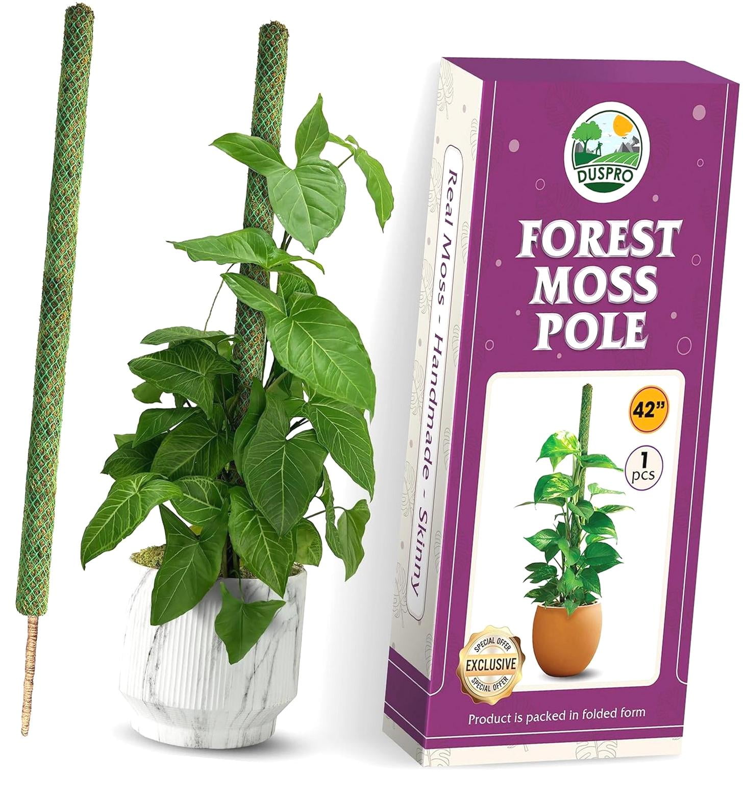 GZHJMY 42'' Mesh Moss Pole for Climbing Plants, Tall Trellis for ...