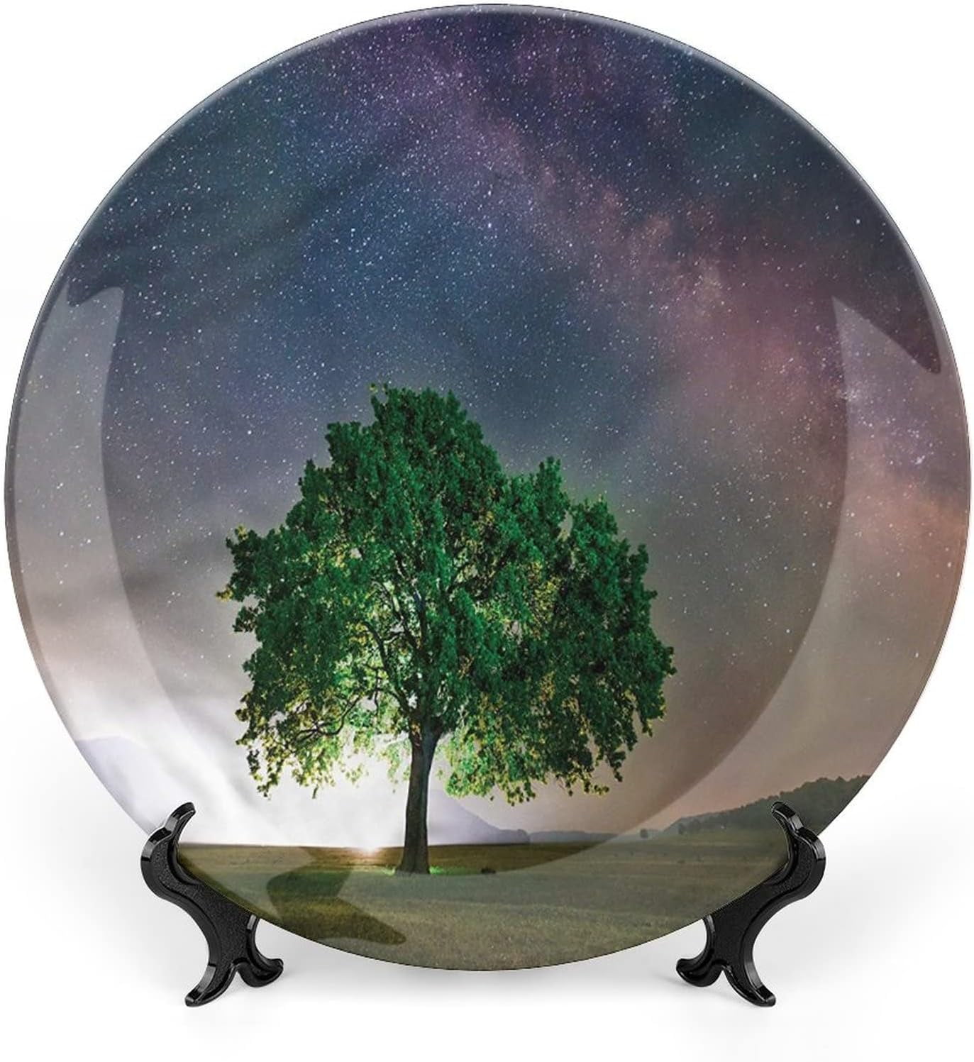 GZHJMY 6 Inch Decorative Plate, Travel Tableware Plate, Tropic Vaion ...