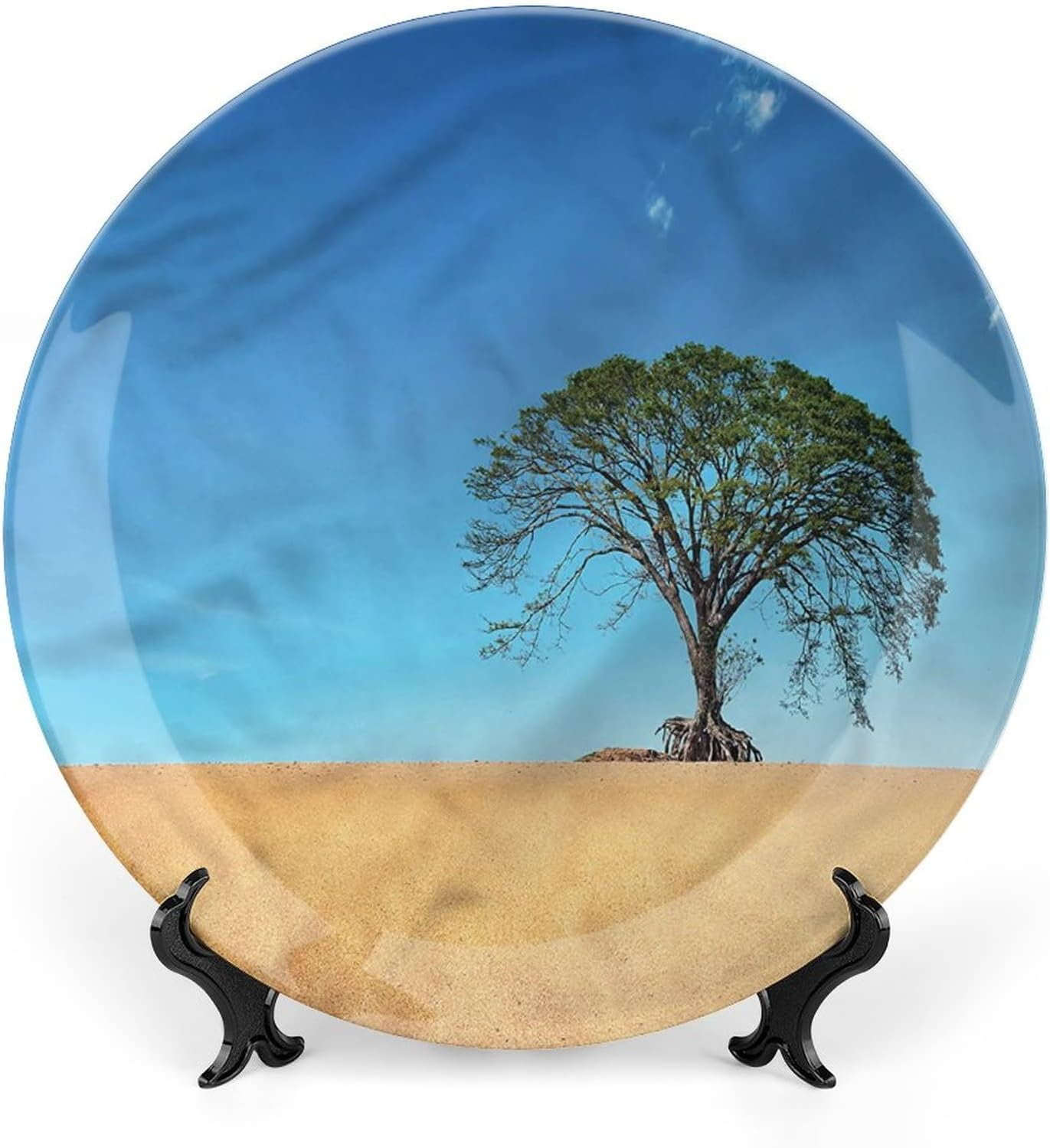GZHJMY 6 Inch Decorative Plate, Travel Tableware Plate, Tropic Vaion ...