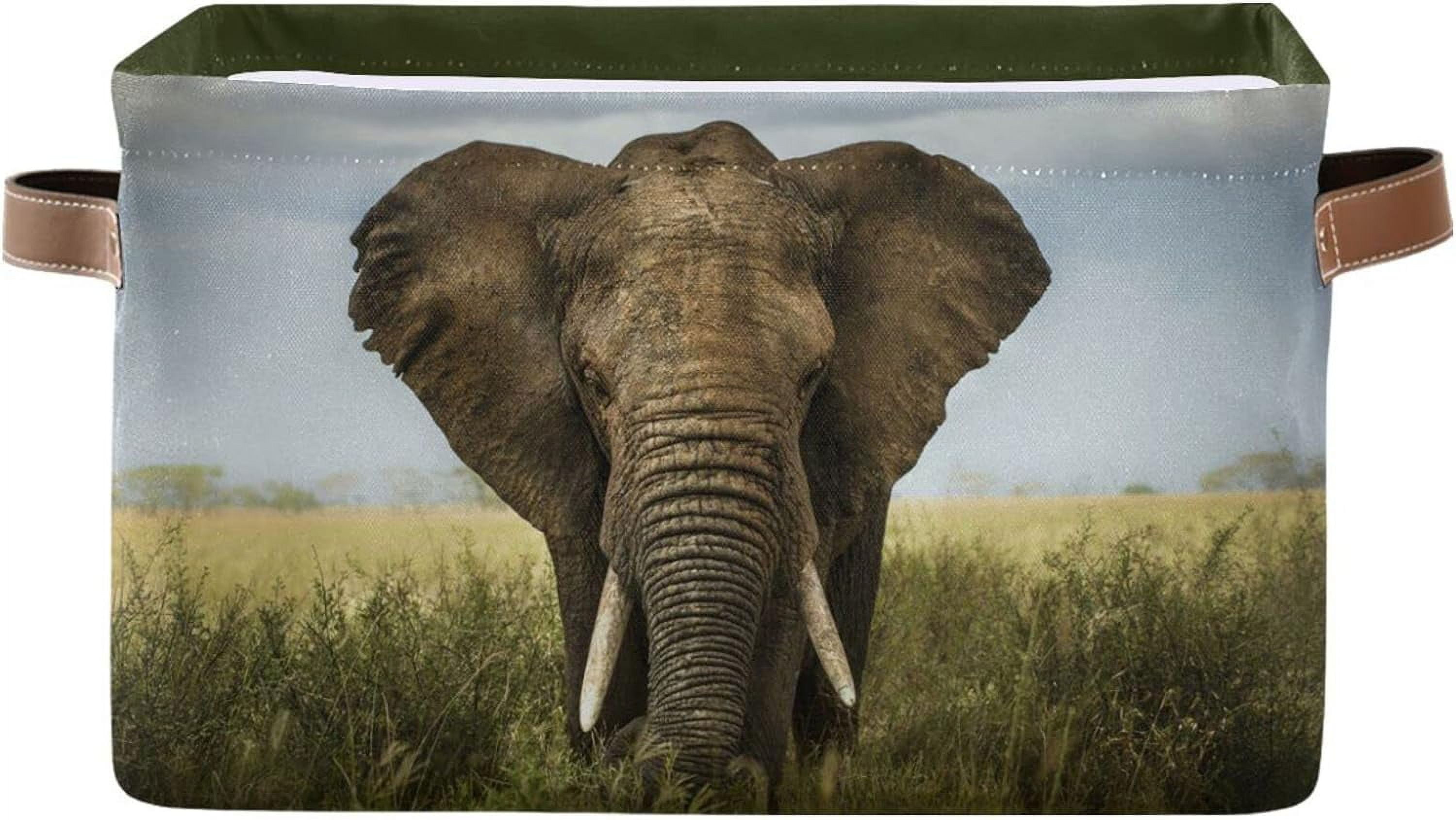 GZHJMY Asian Elephant Storage Basket with Handles Collapsible Storage ...