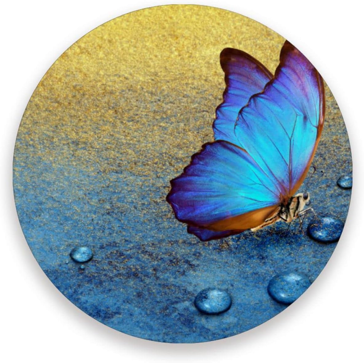 GZHJMY Bright Blue Butterfly Coasters for Drinks Set of 4, Absorbent ...