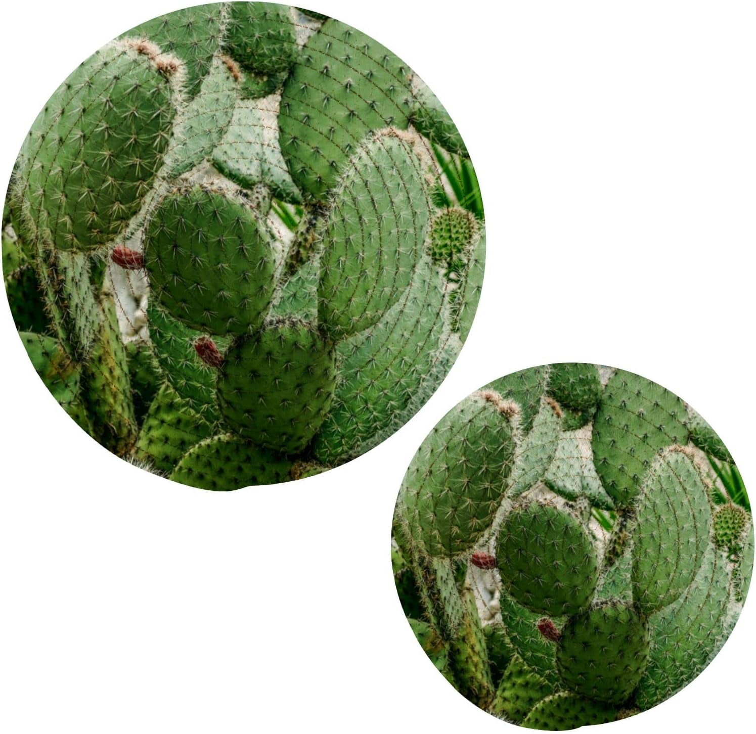 GZHJMY Cactus Prickly Pear Cacti Plant Pot Holders Trivets Set of 2 ...