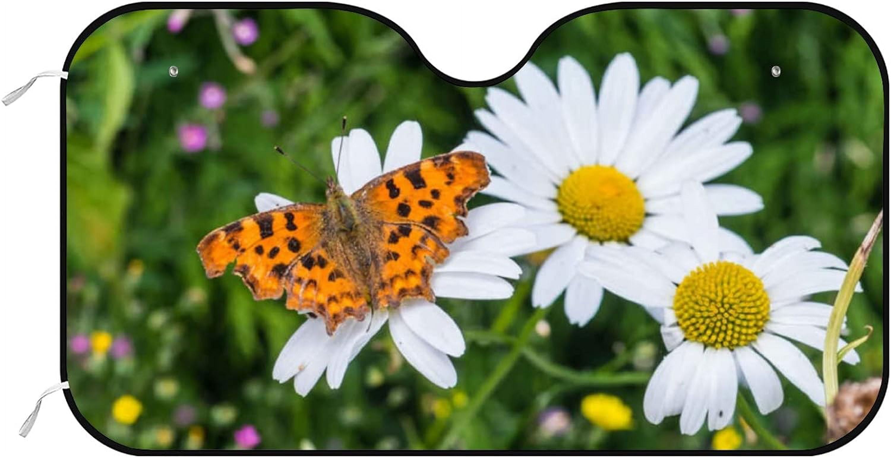 GZHJMY Car Front Windshield Sunshade UV Heat Protection, Foldable Auto ...