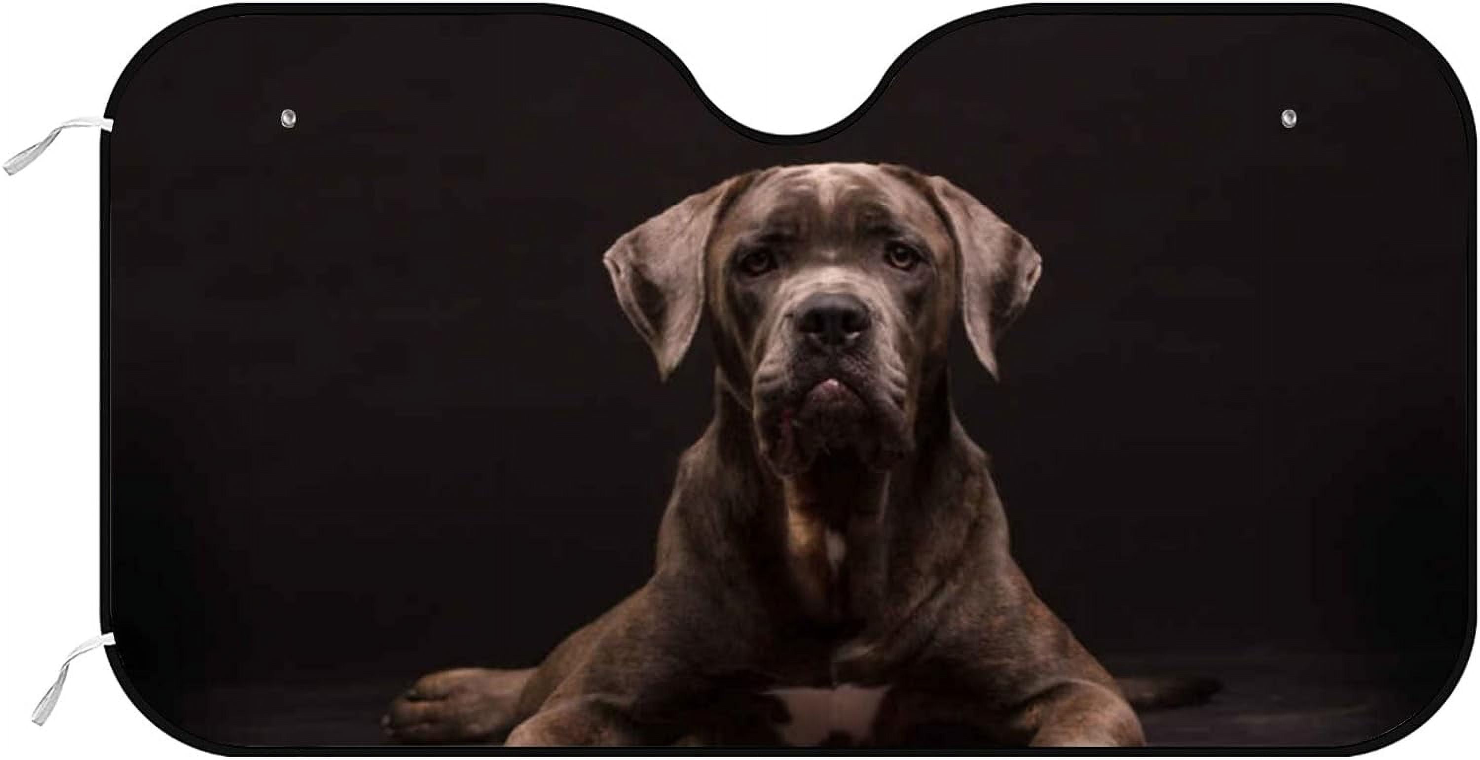 GZHJMY Car Front Windshield Sunshade UV Heat Protection, Foldable Auto ...