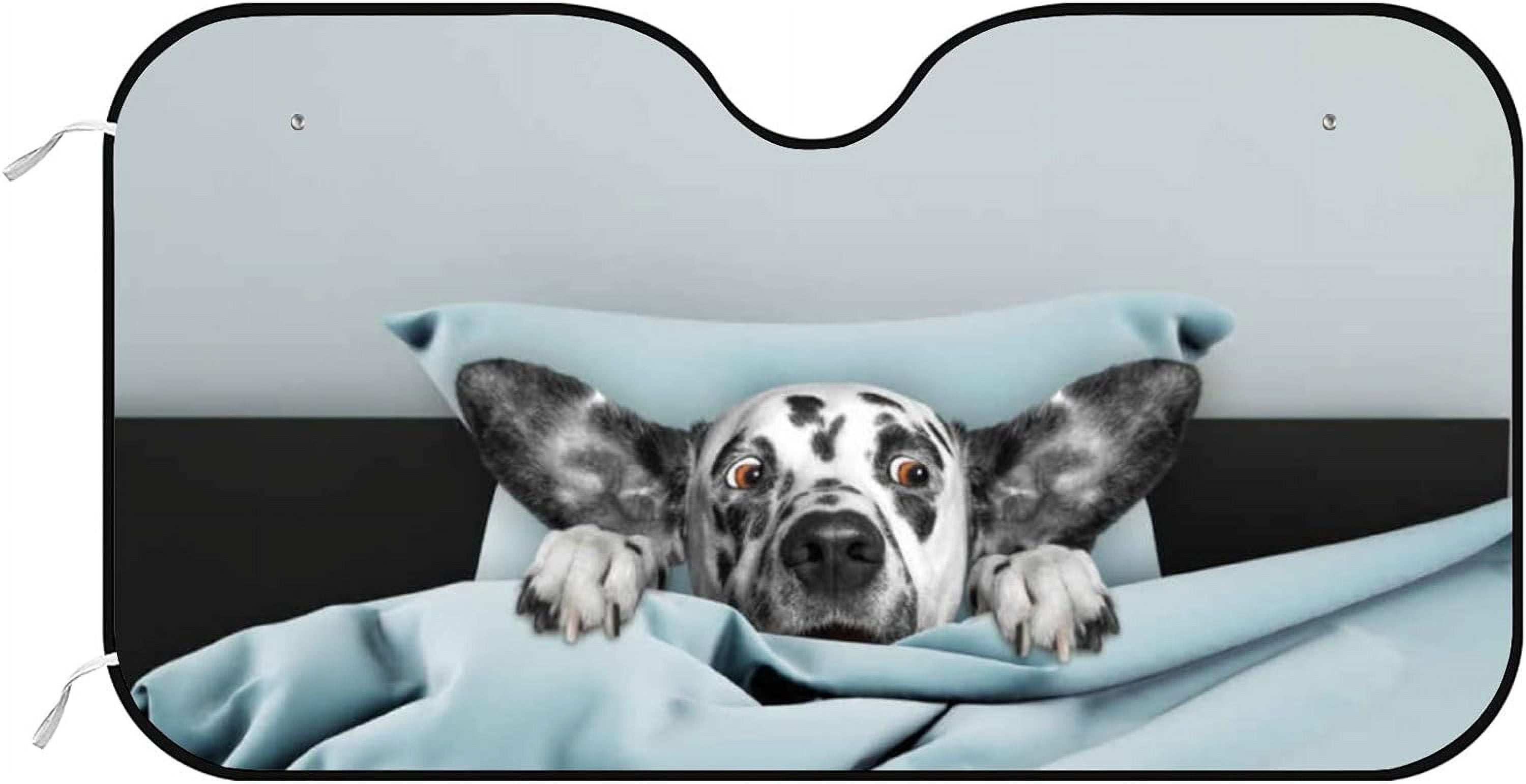 GZHJMY Car Front Windshield Sunshade UV Heat Protection, Foldable Auto ...