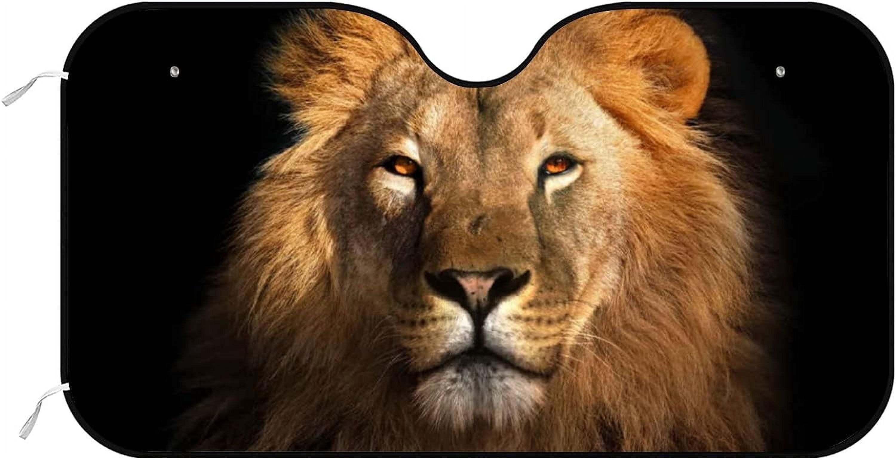 GZHJMY Car Front Windshield Sunshade UV Heat Protection, Foldable Auto ...