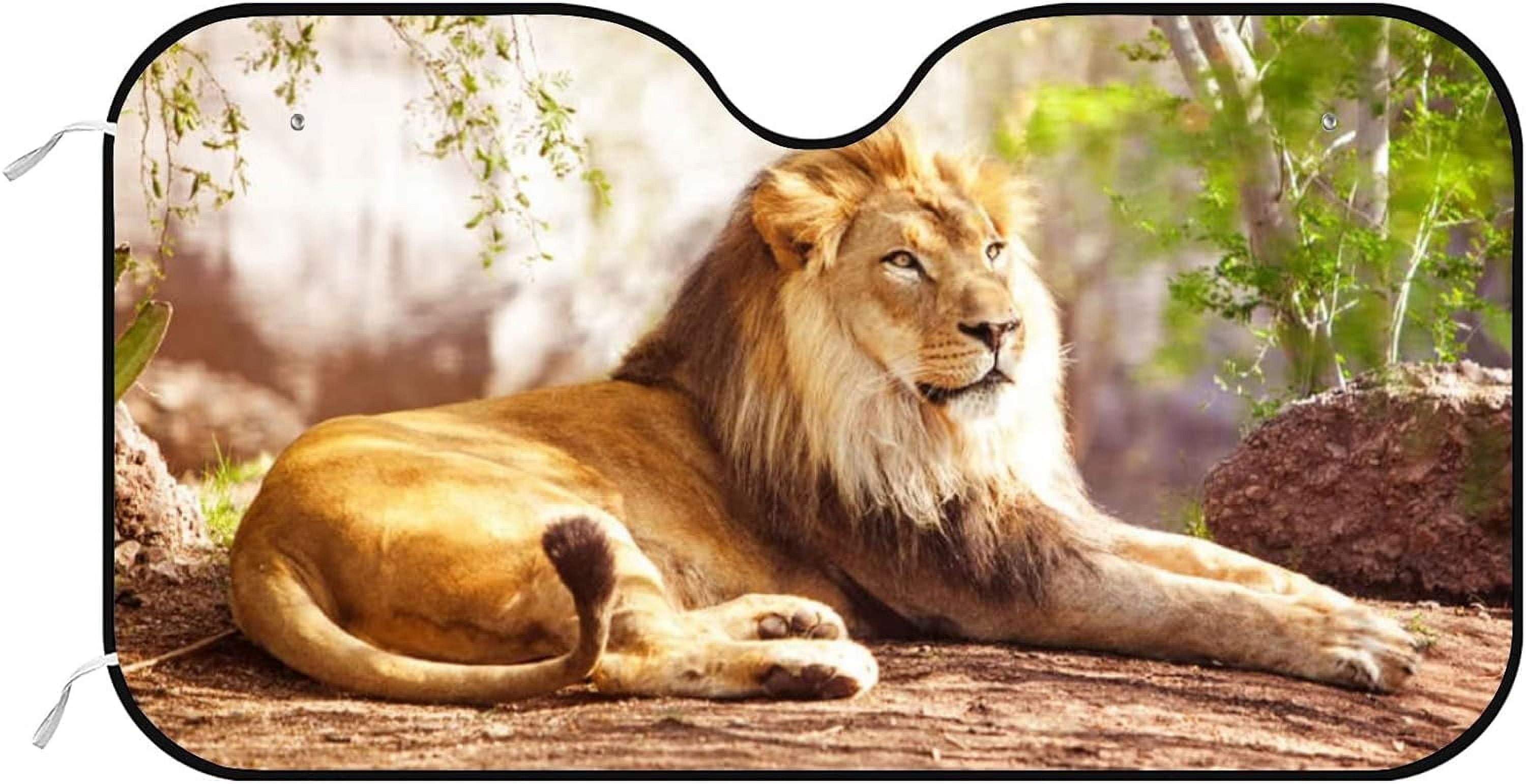 GZHJMY Car Front Windshield Sunshade UV Heat Protection, Foldable Auto ...