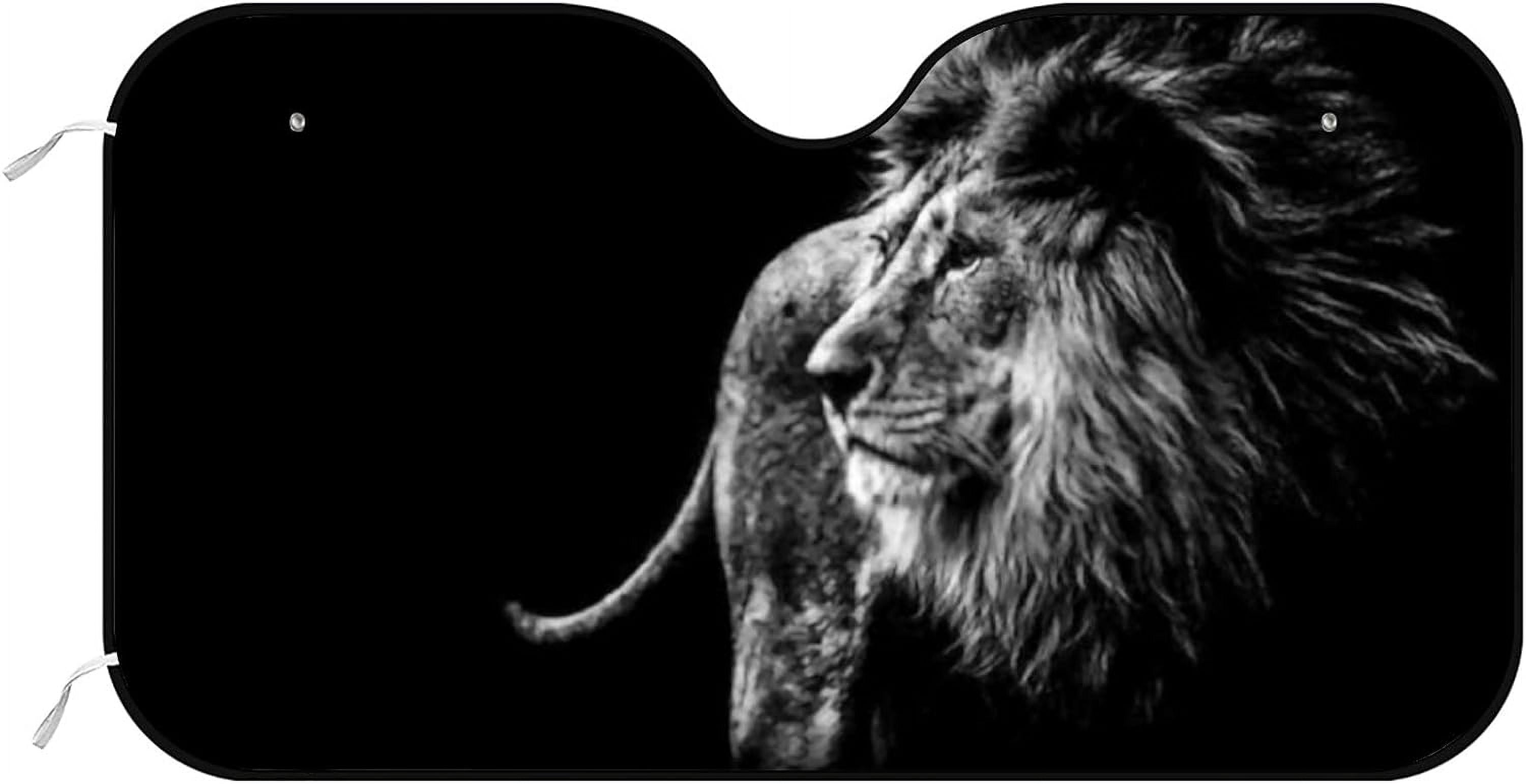 GZHJMY Car Front Windshield Sunshade UV Heat Protection, Foldable Auto ...