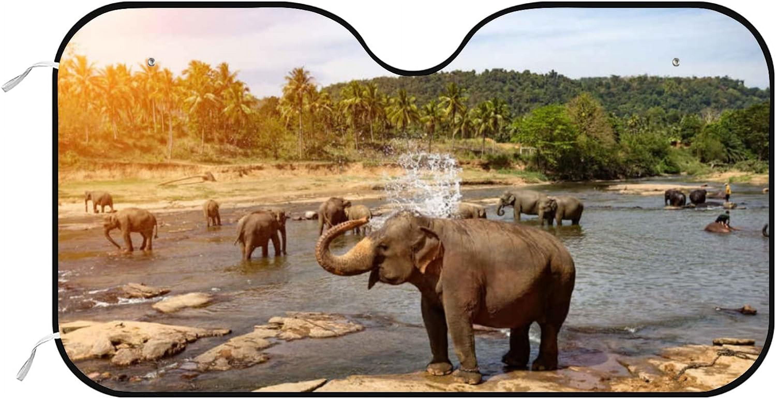 GZHJMY Car Front Windshield Sunshade UV Heat Protection, Foldable Auto ...