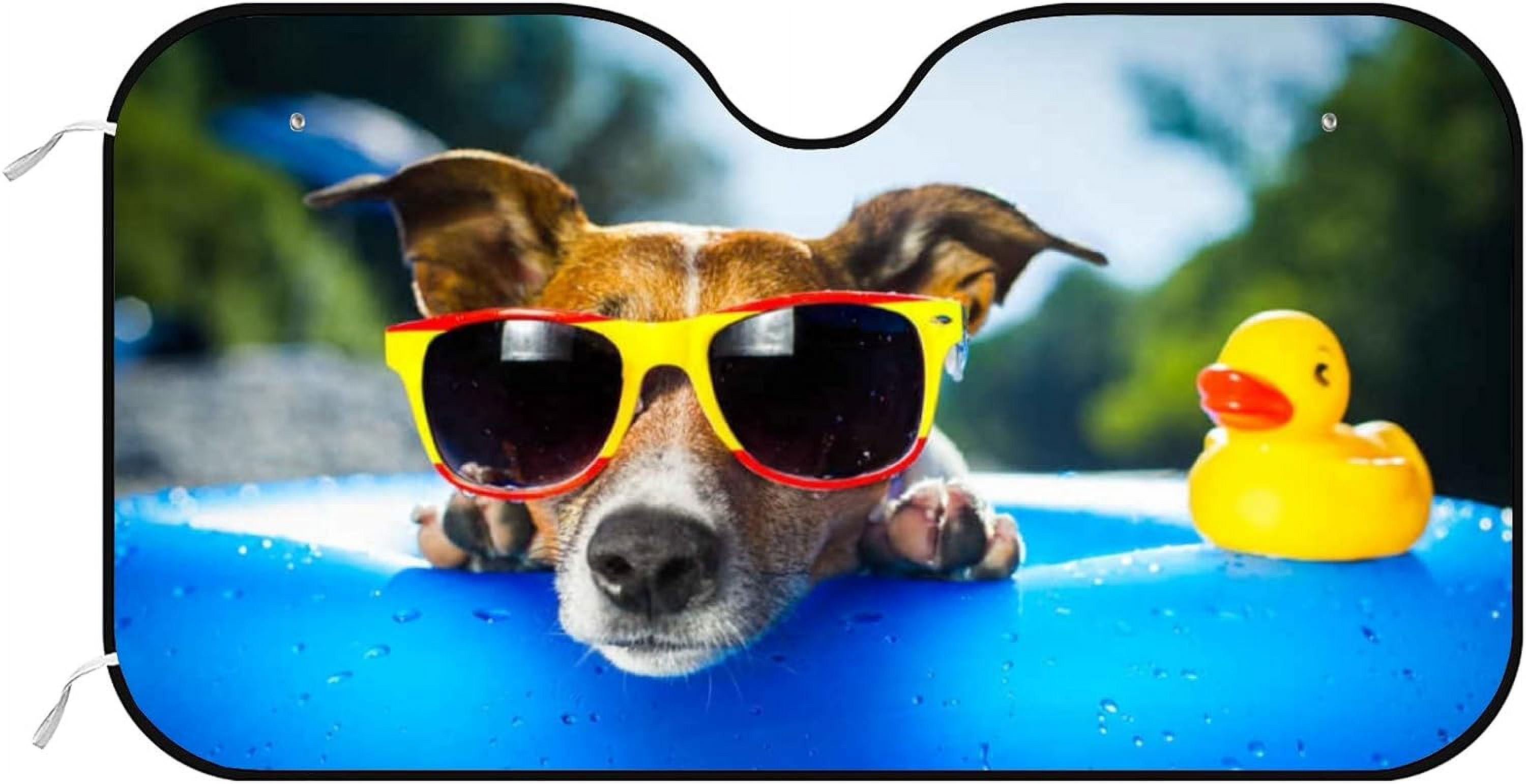 GZHJMY Car Front Windshield Sunshade UV Heat Protection, Foldable Auto ...