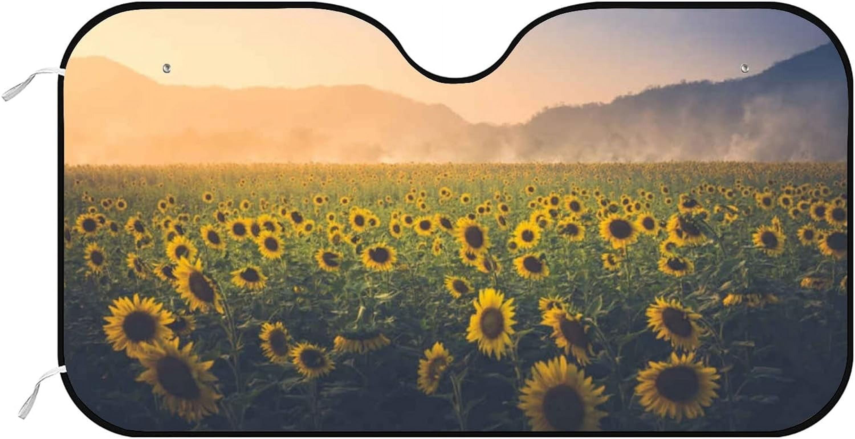 GZHJMY Car Front Windshield Sunshade UV Heat Protection, Foldable Auto ...