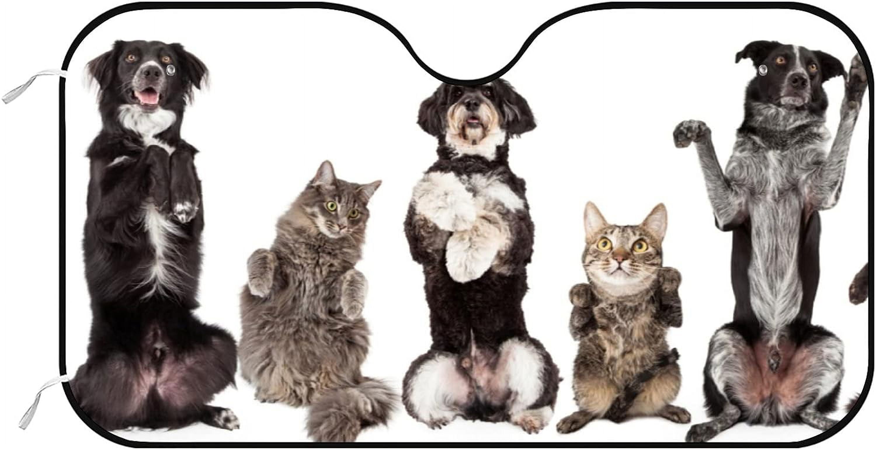 GZHJMY Car Windshield Sunshade Cats and Dogs, Foldable Car Visor Front ...