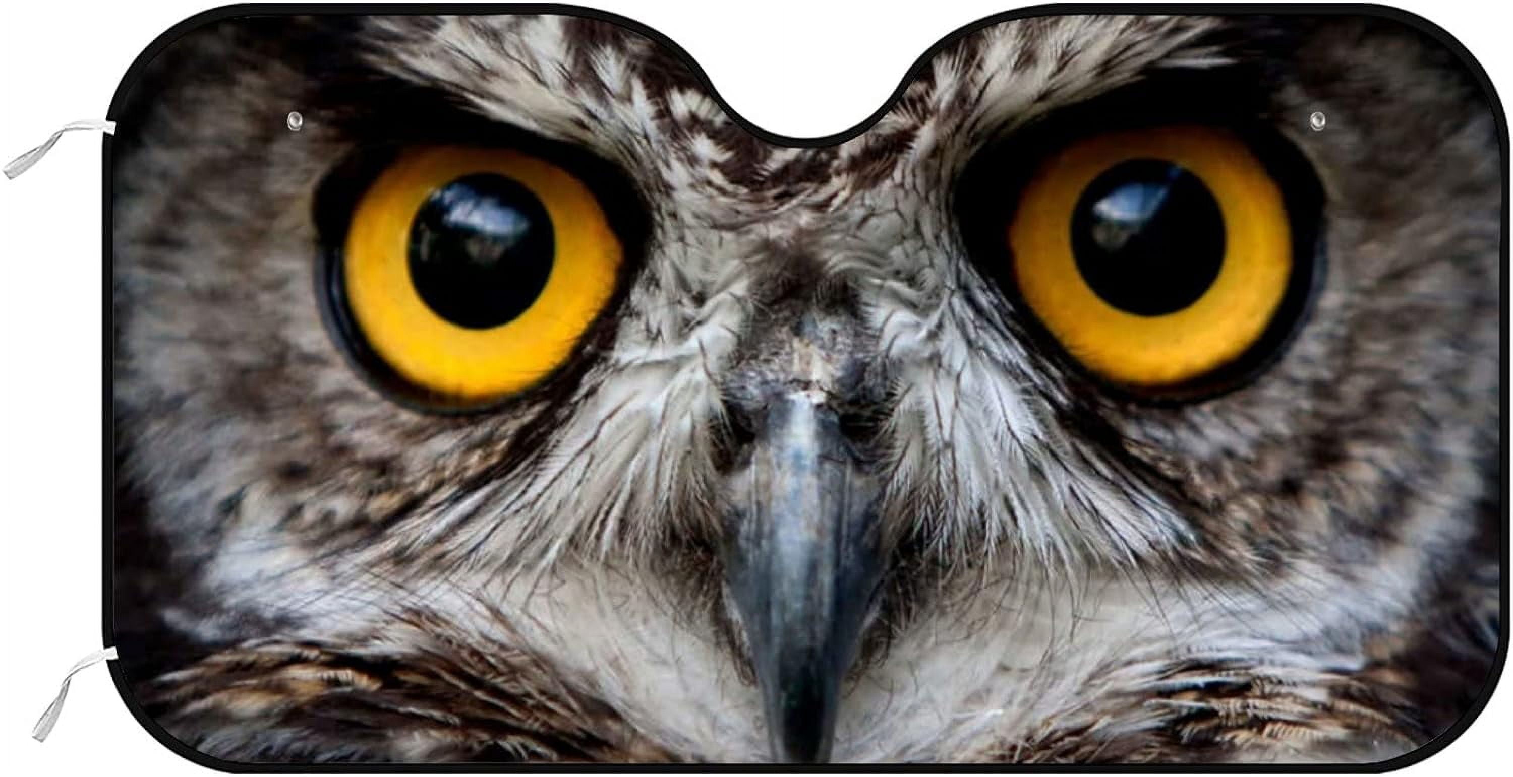 GZHJMY Car Windshield Sunshade Cute Big Eyes Owl, Foldable Car Visor ...