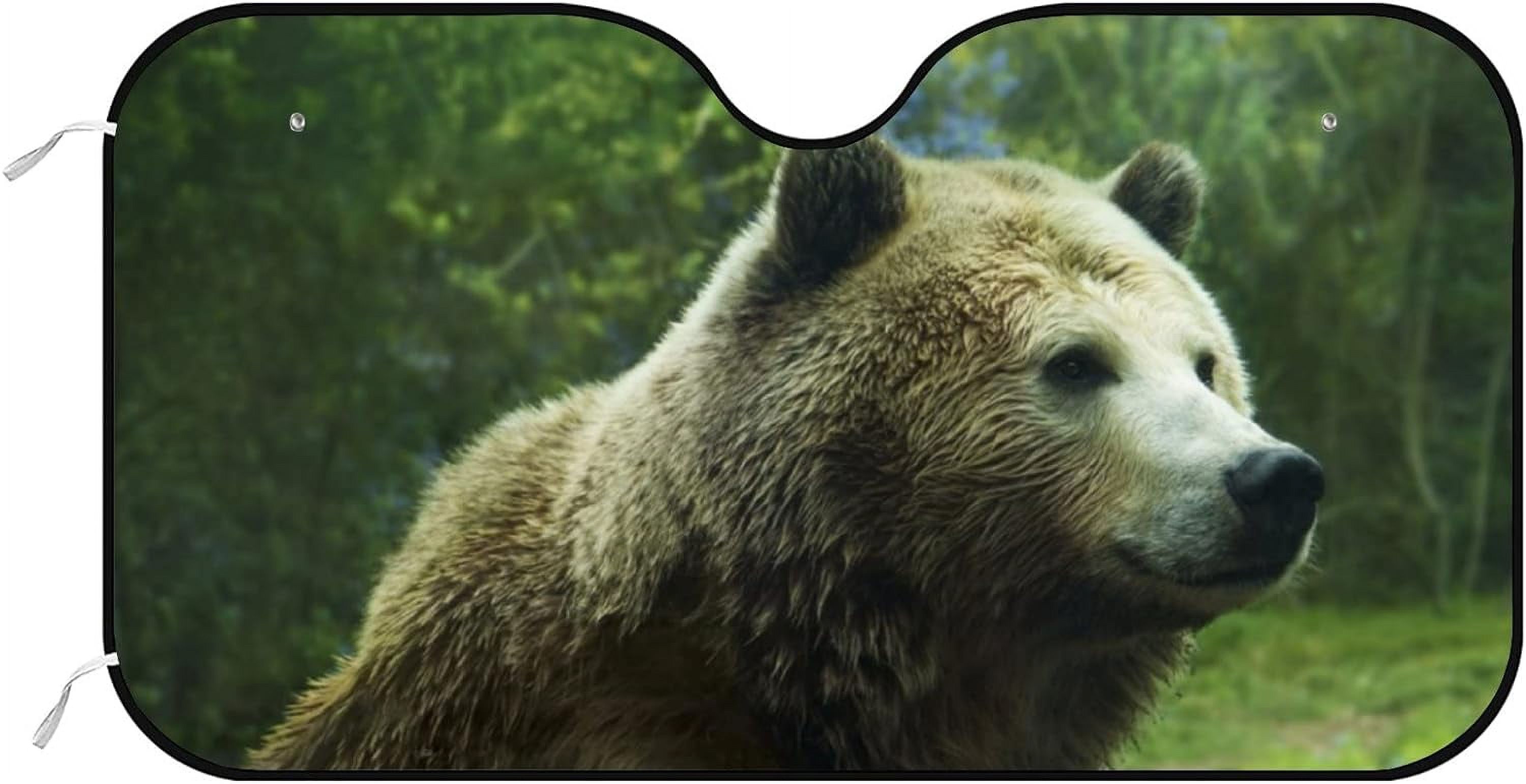 GZHJMY Car Windshield Sunshade Cute Black Bear, Foldable Car Visor ...