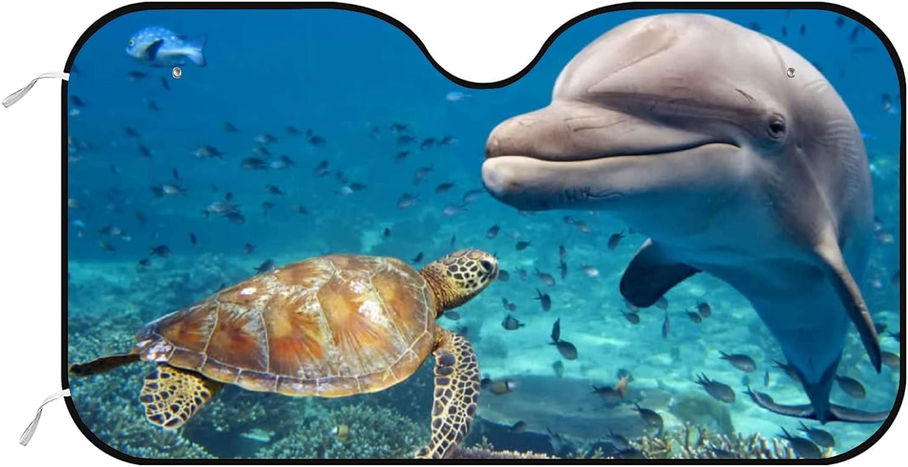 GZHJMY Car Windshield Sunshade Cute Dolphin and Turtle, Foldable Car ...
