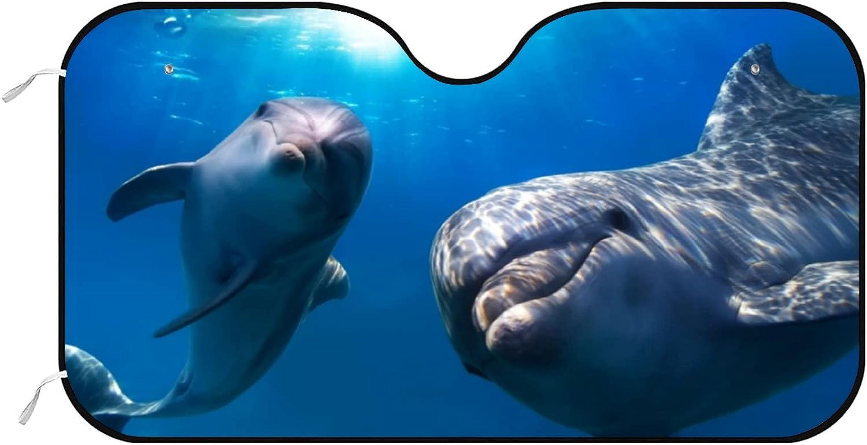 GZHJMY Car Windshield Sunshade Cute Dolphins, Foldable Car Visor Front ...