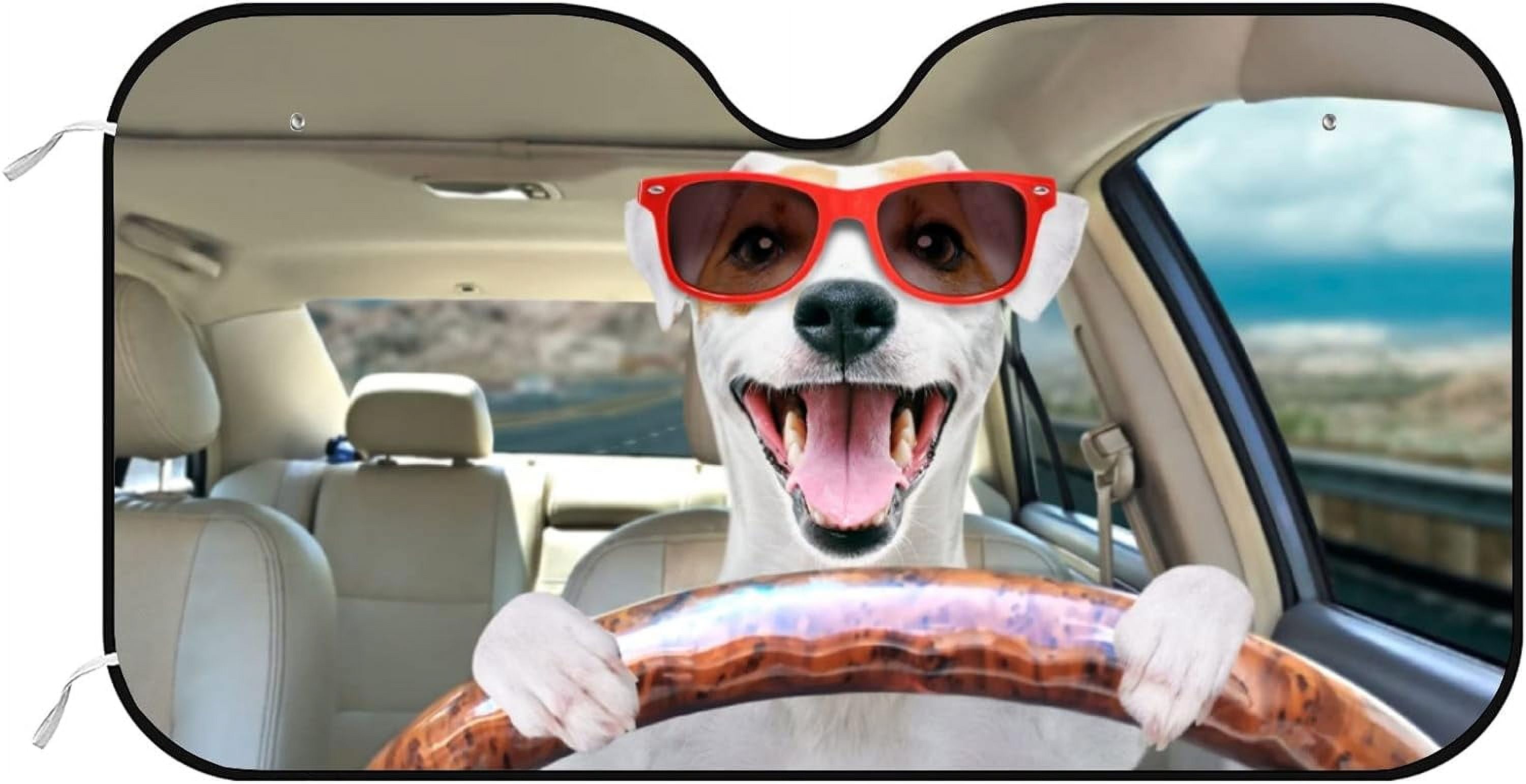 GZHJMY Car Windshield Sunshade Cute Funny Dog Driving a Car, Foldable ...