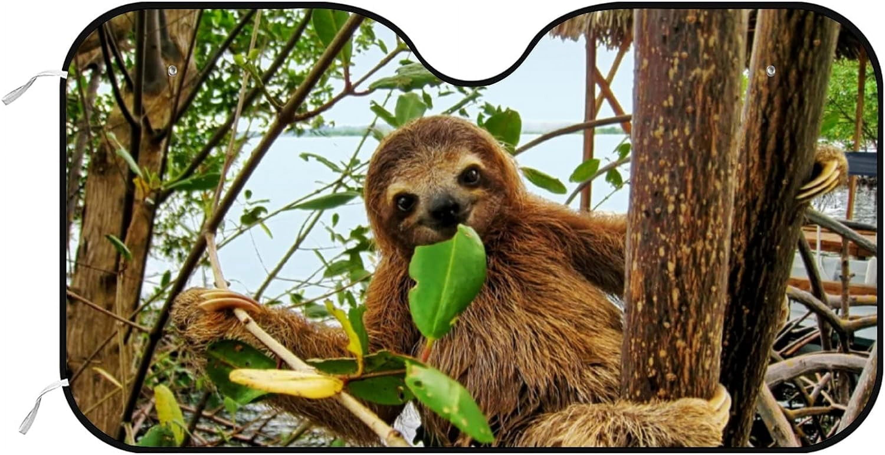 GZHJMY Car Windshield Sunshade Cute Jungle Sloths, Foldable Car Visor ...