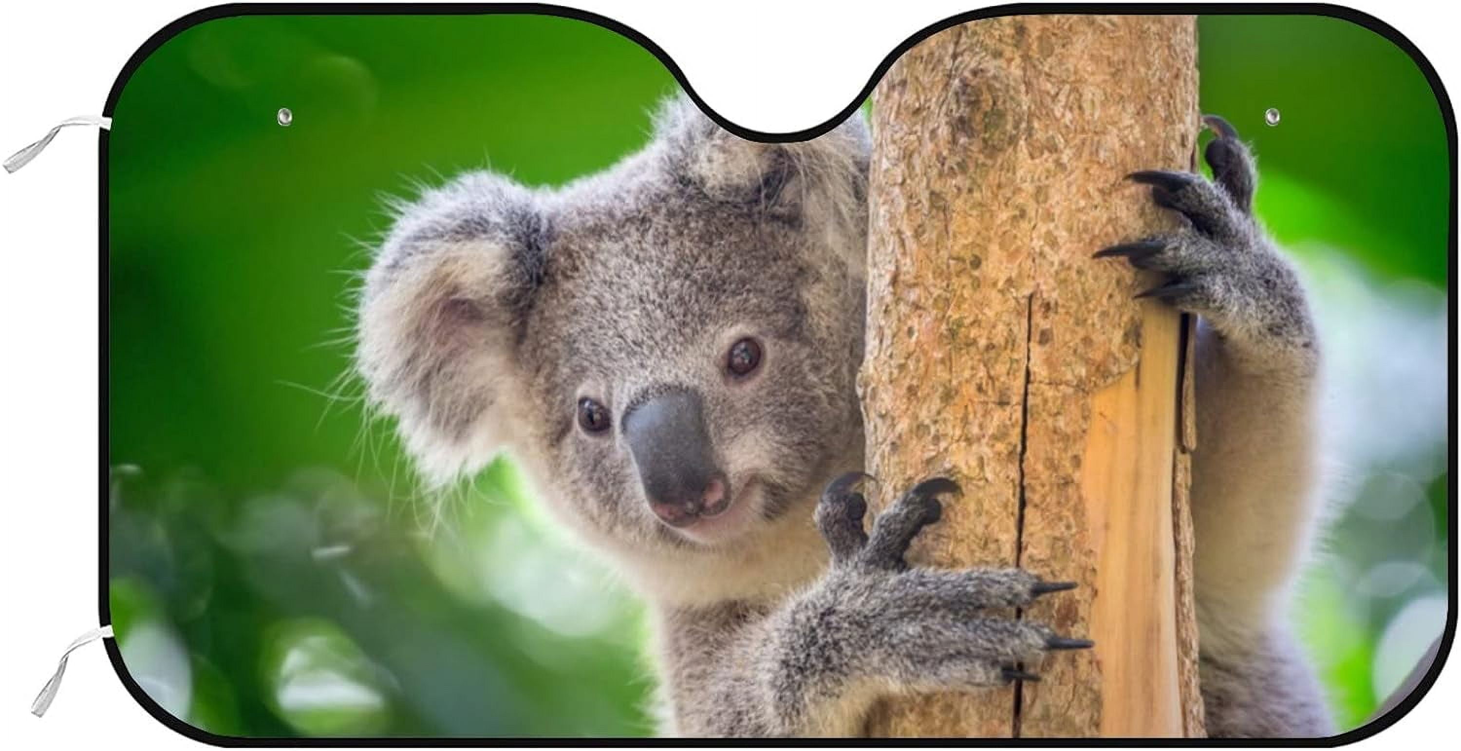 GZHJMY Car Windshield Sunshade Cute Koala On Tree, Foldable Car Visor ...