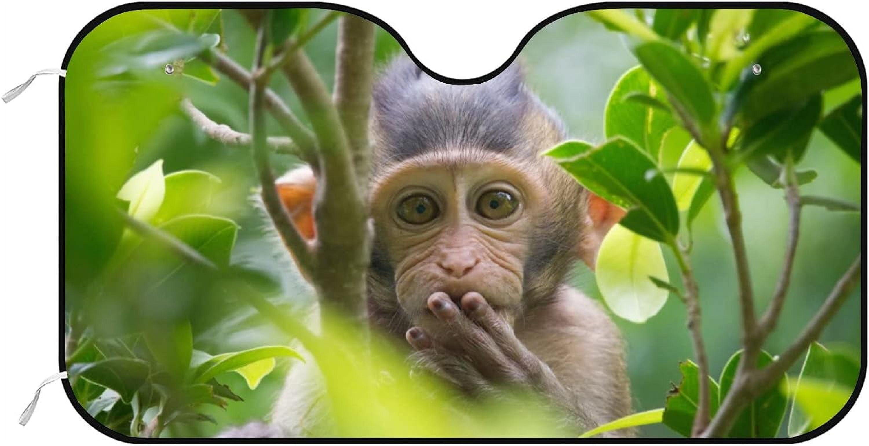 GZHJMY Car Windshield Sunshade Cute Monkey Lives in a Natural Forest ...