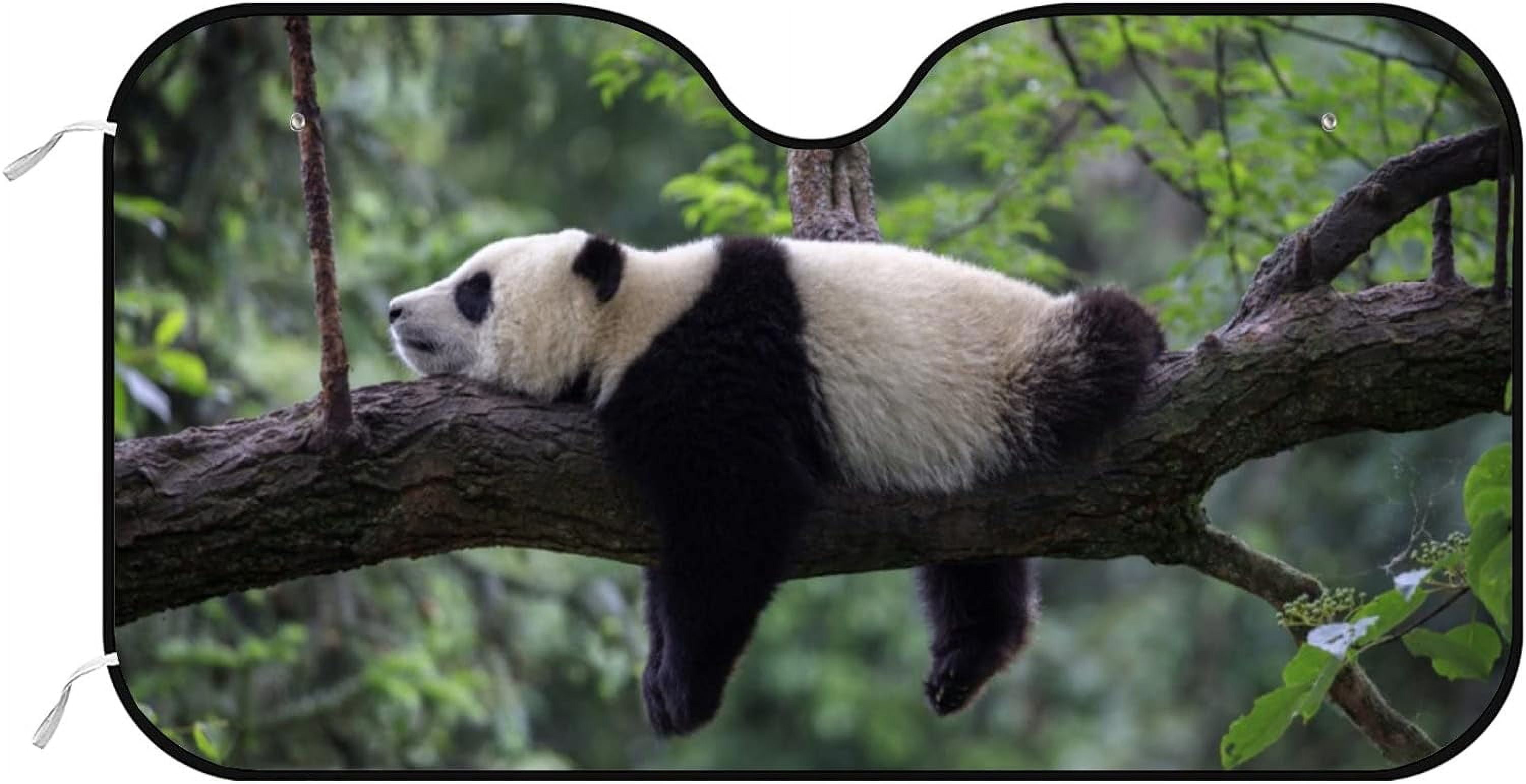 GZHJMY Car Windshield Sunshade Cute Panda On The Tree, Foldable Car ...