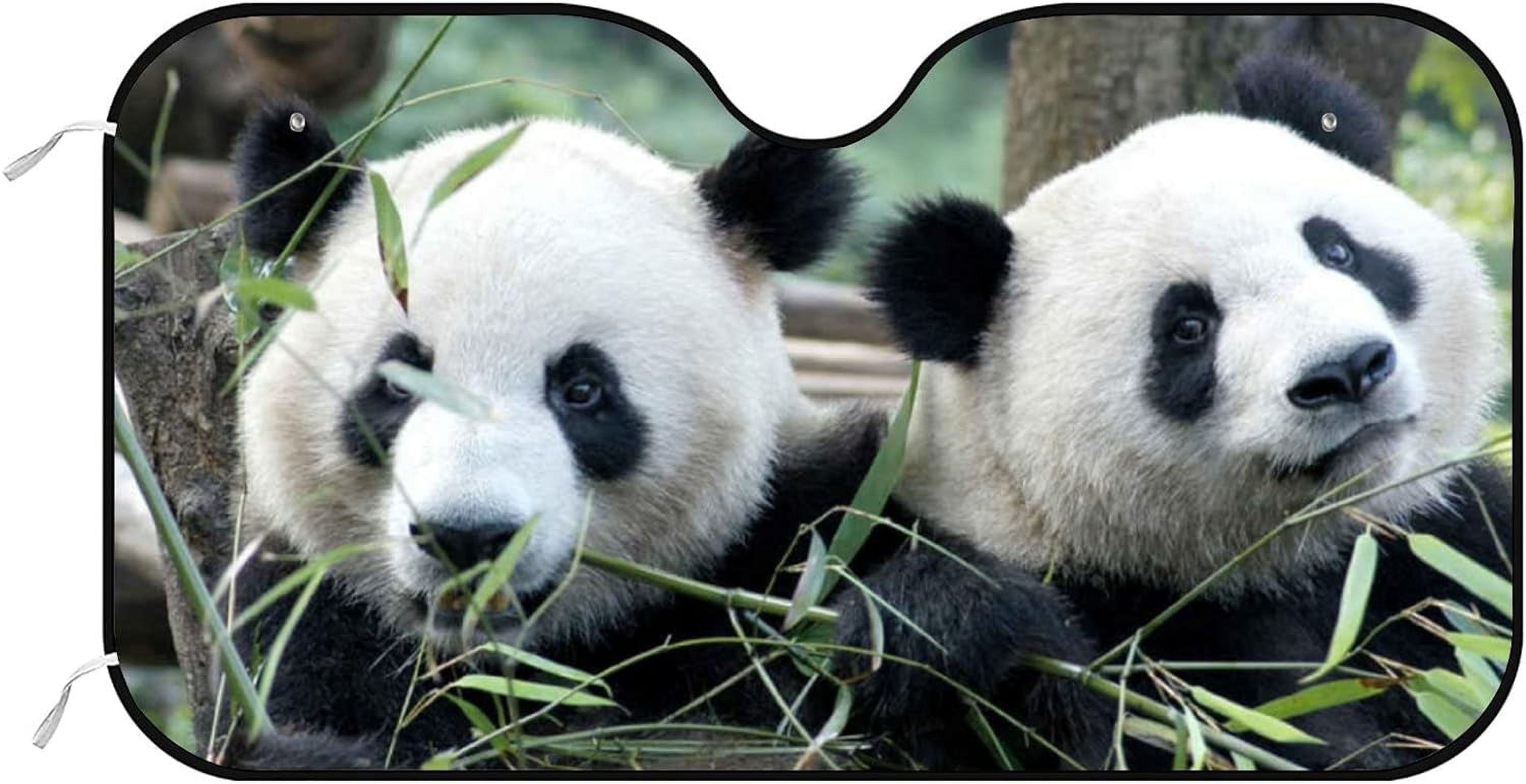 GZHJMY Car Windshield Sunshade Cute Pandas, Foldable Car Visor Front ...