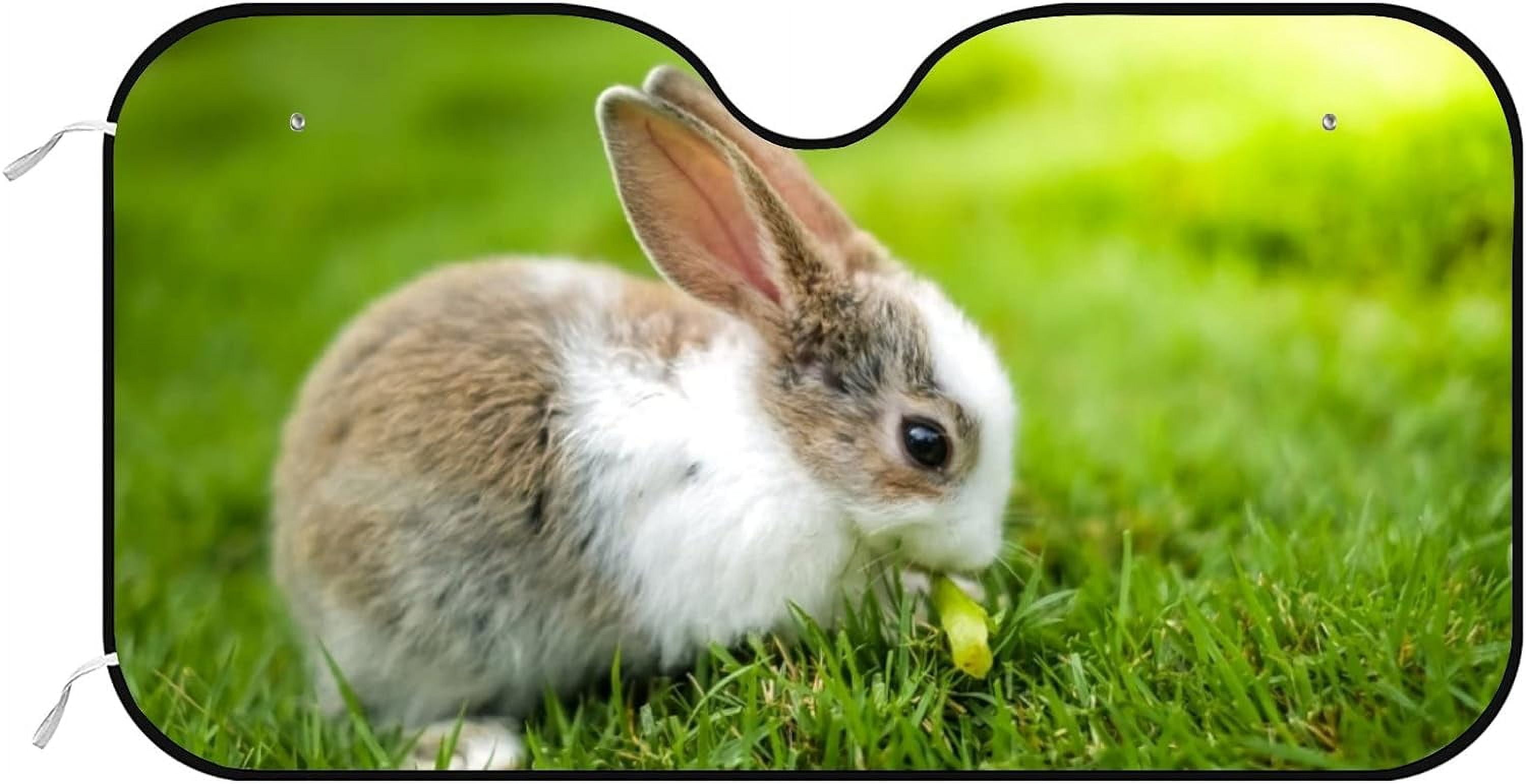 GZHJMY Car Windshield Sunshade Cute Rabbit, Foldable Car Visor Front ...