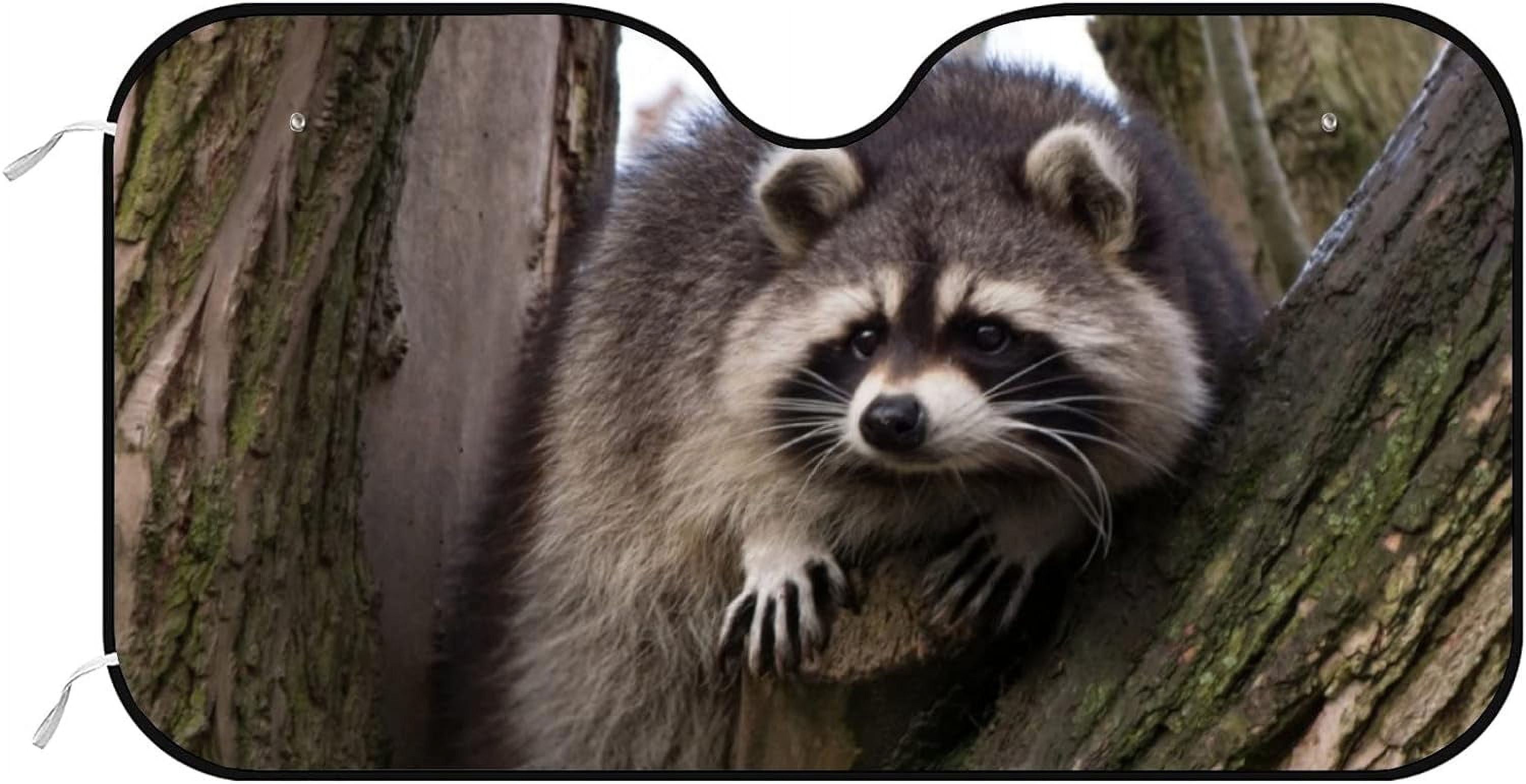 GZHJMY Car Windshield Sunshade Cute Raccoon On Tree, Foldable Car Visor ...