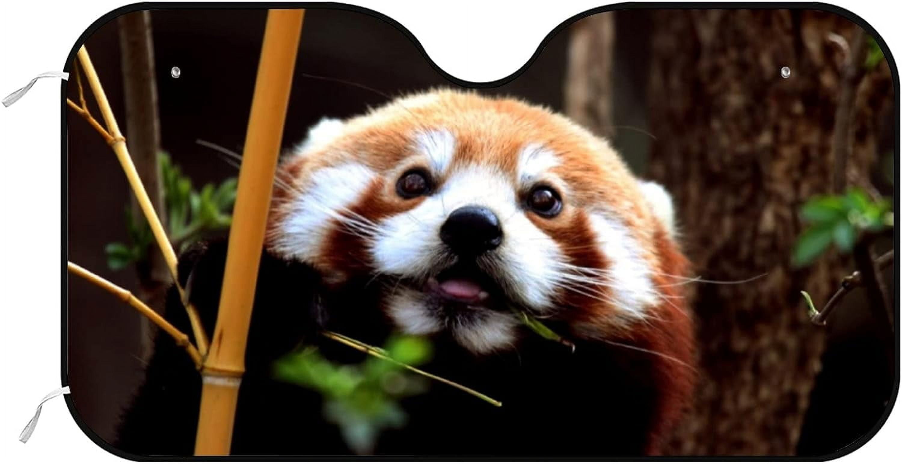 GZHJMY Car Windshield Sunshade Cute Red Panda, Foldable Car Visor Front ...