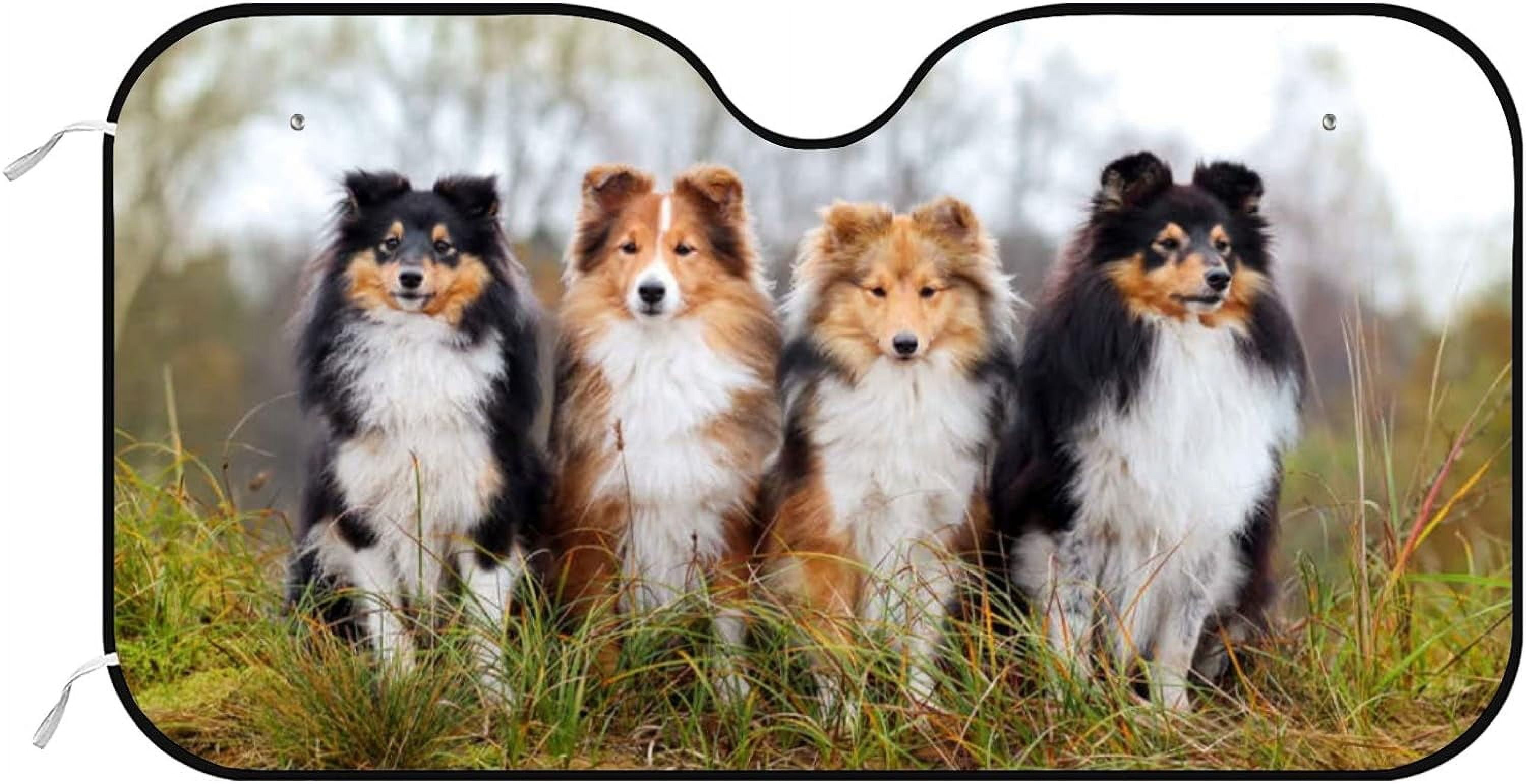 GZHJMY Car Windshield Sunshade Cute Sheepdog Colie Dog, Foldable Car ...