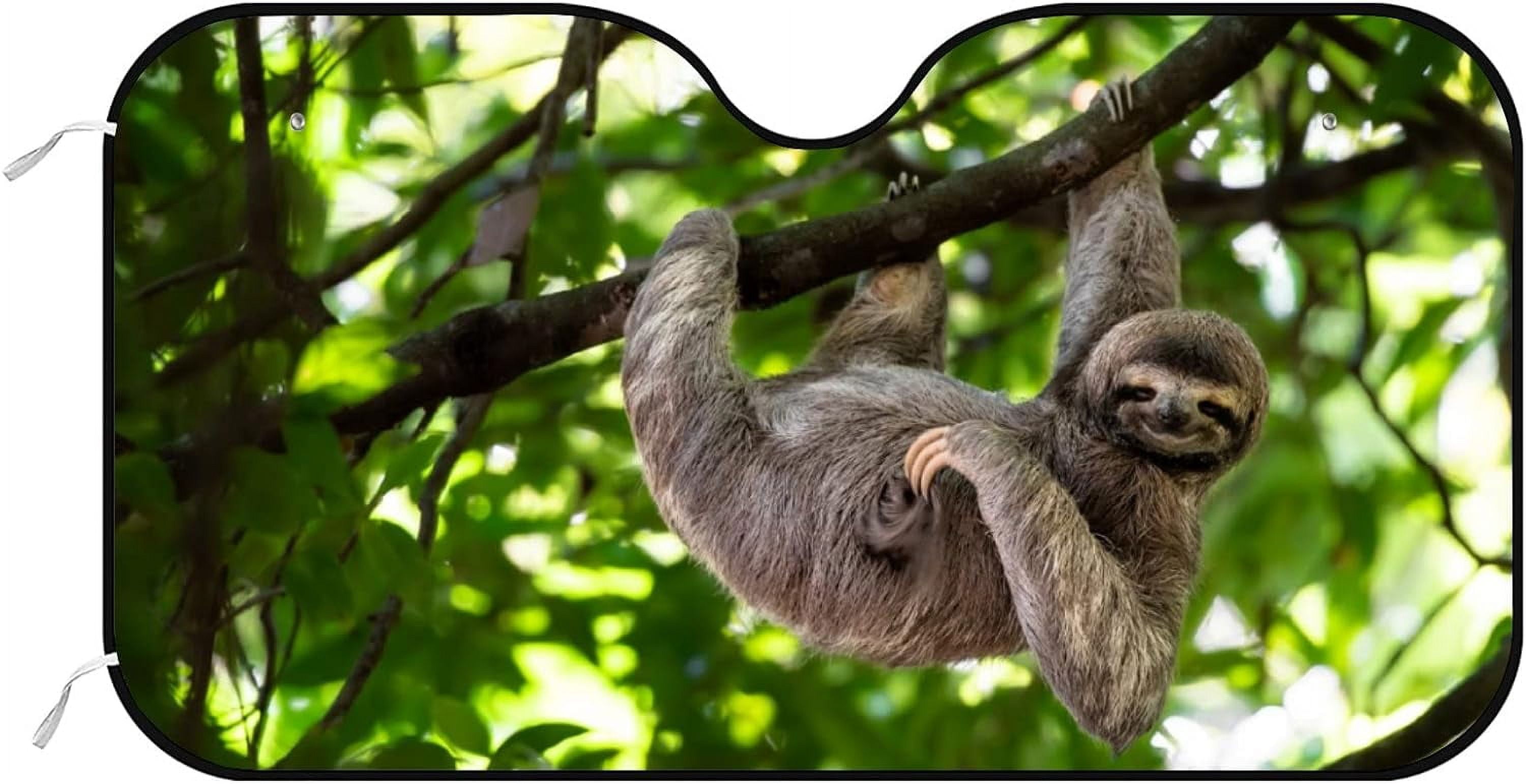 GZHJMY Car Windshield Sunshade Cute Sloth Hanging on Tree Branch ...