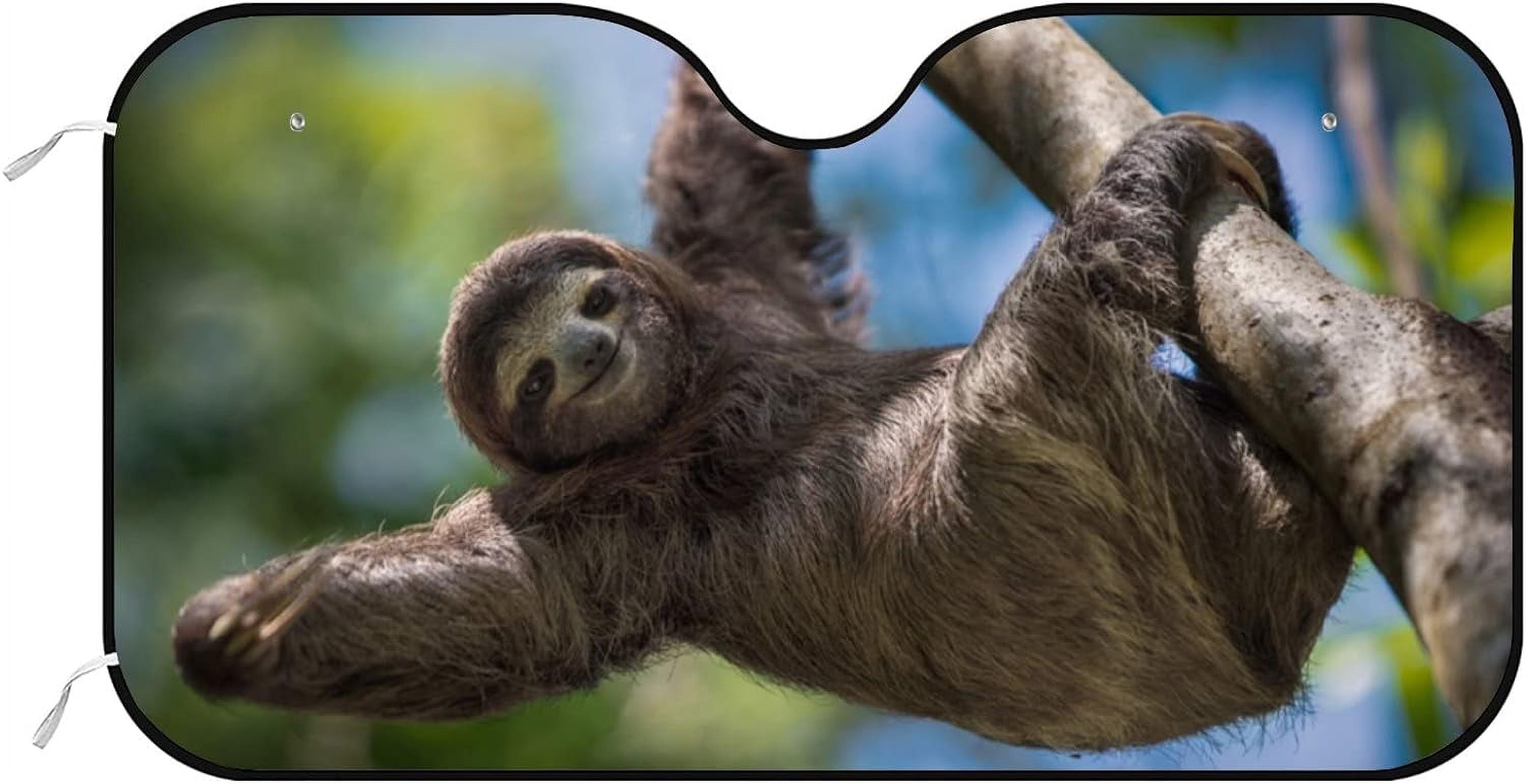 GZHJMY Car Windshield Sunshade Cute Sloth On Tree, Foldable Car Visor ...