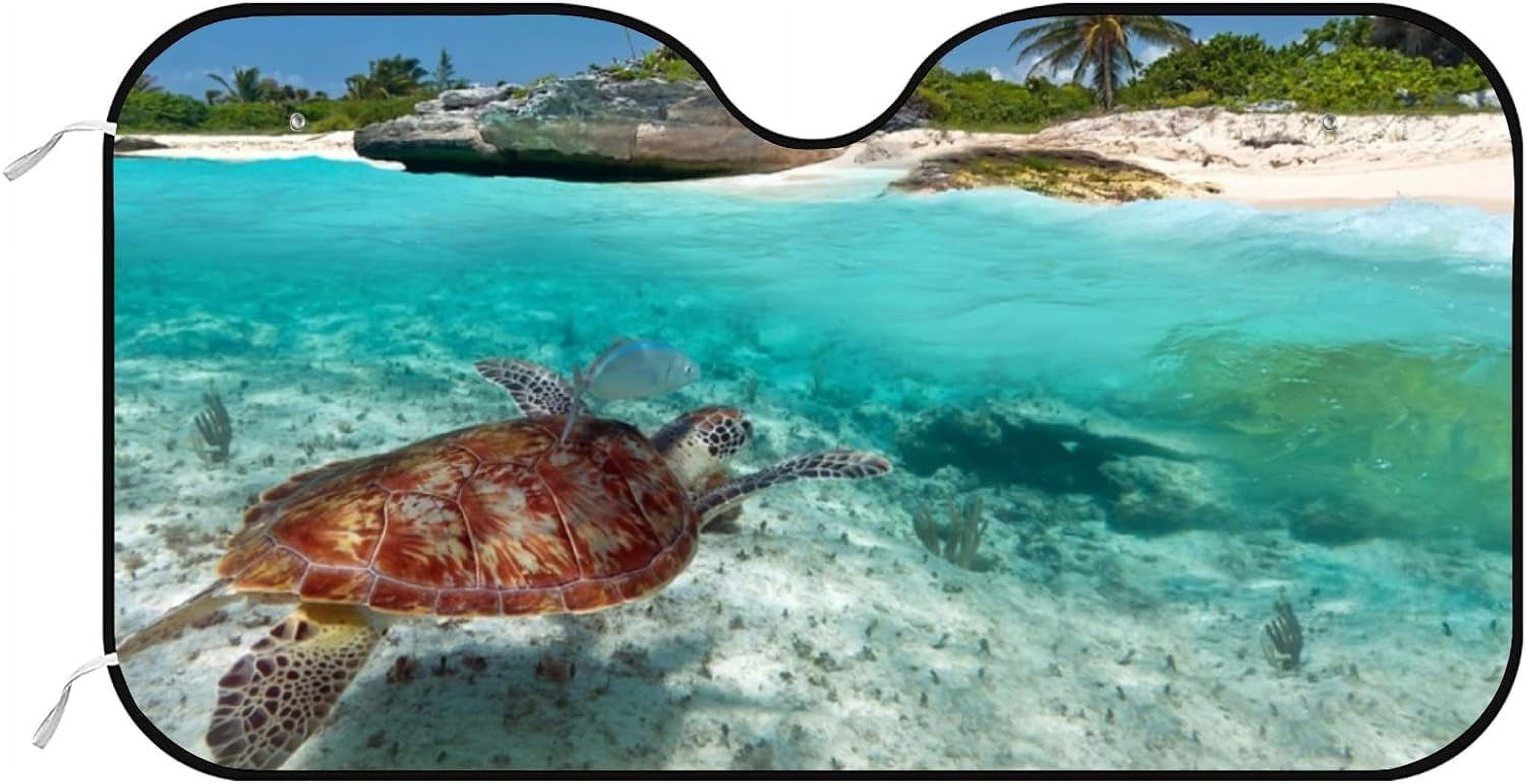 GZHJMY Car Windshield Sunshade Cute Turtles, Foldable Car Visor Front ...