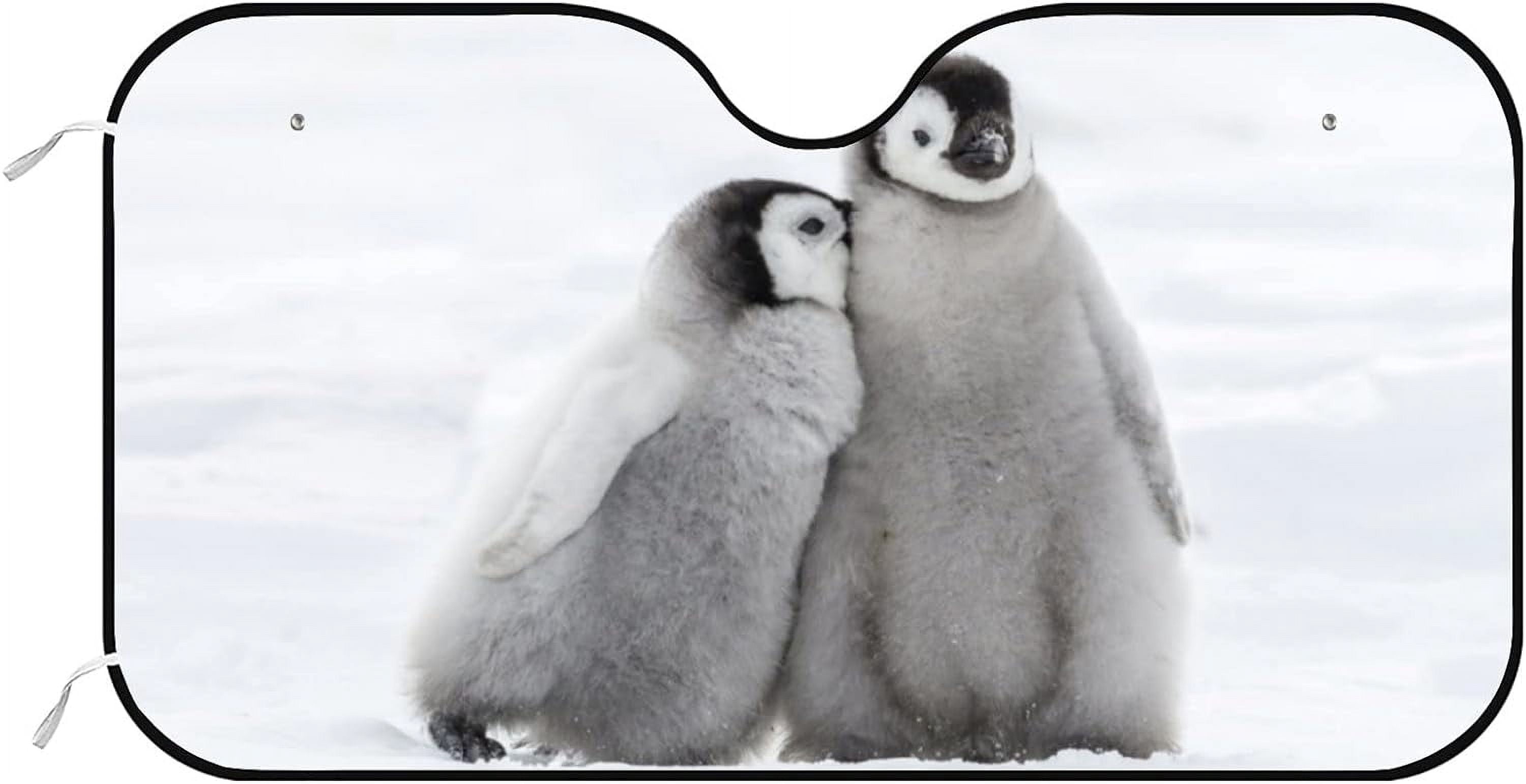 GZHJMY Car Windshield Sunshade Cute Two Penguins, Foldable Car Visor ...