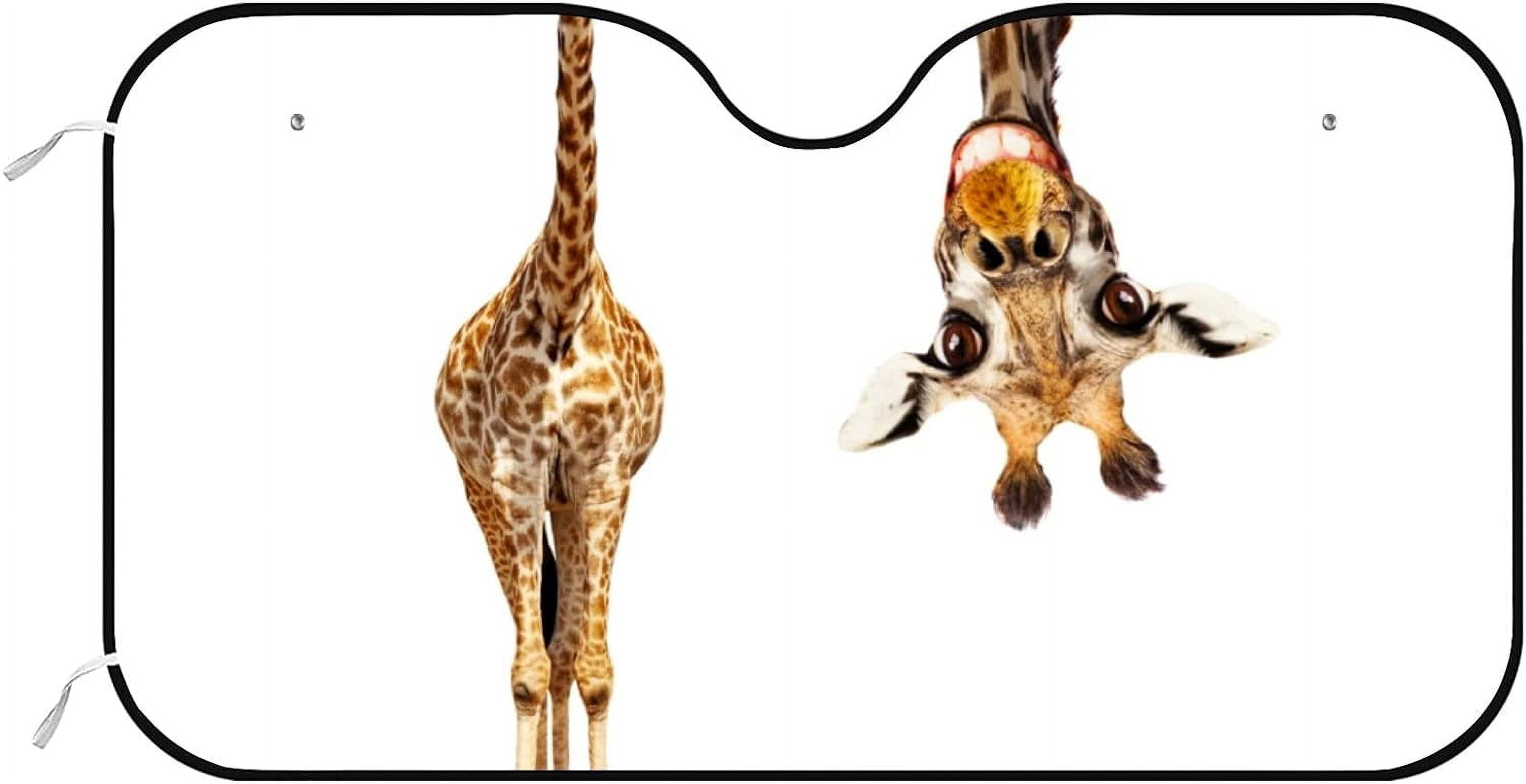 GZHJMY Car Windshield Sunshade Fun Cute Giraffe, Foldable Car Visor ...