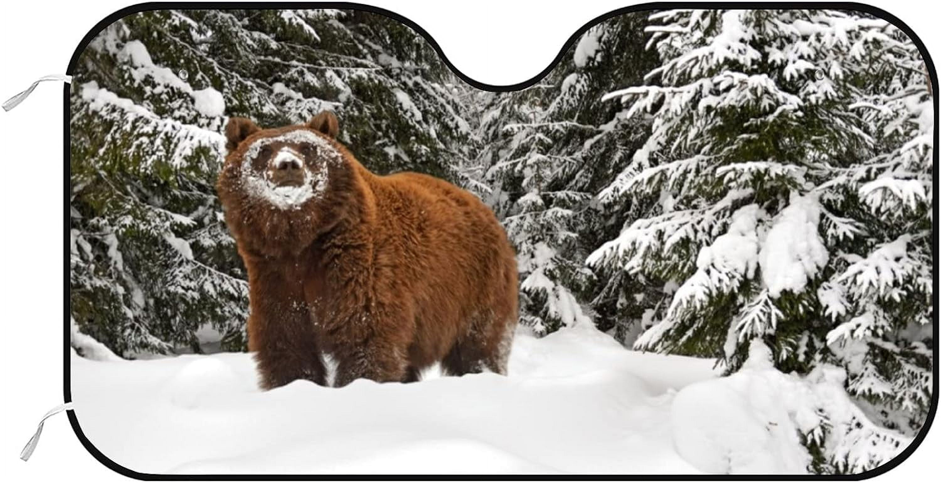 GZHJMY Car Windshield Sunshade Funny Brown Bear, Foldable Car Visor ...