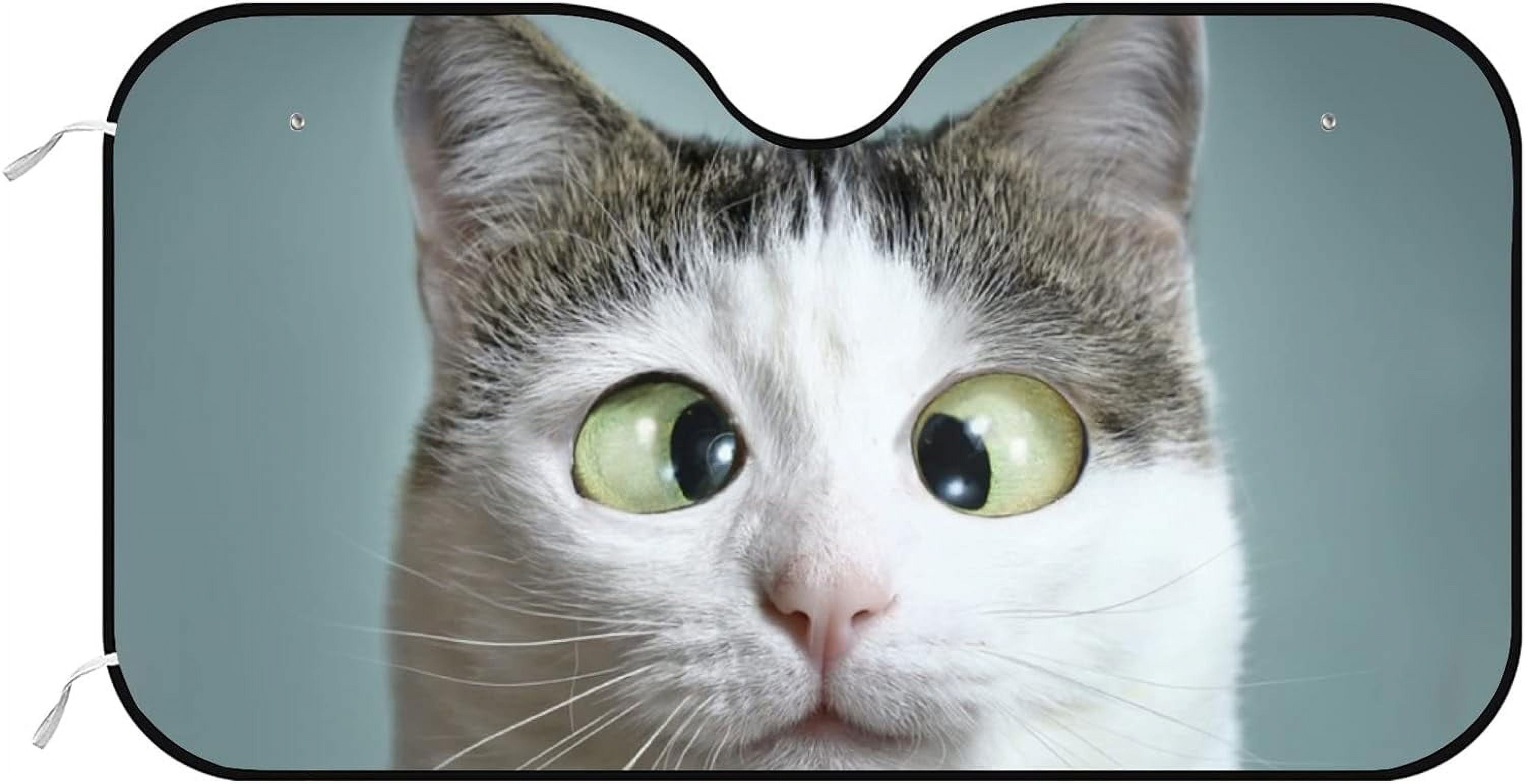 GZHJMY Car Windshield Sunshade Funny Cat, Foldable Car Visor Front ...