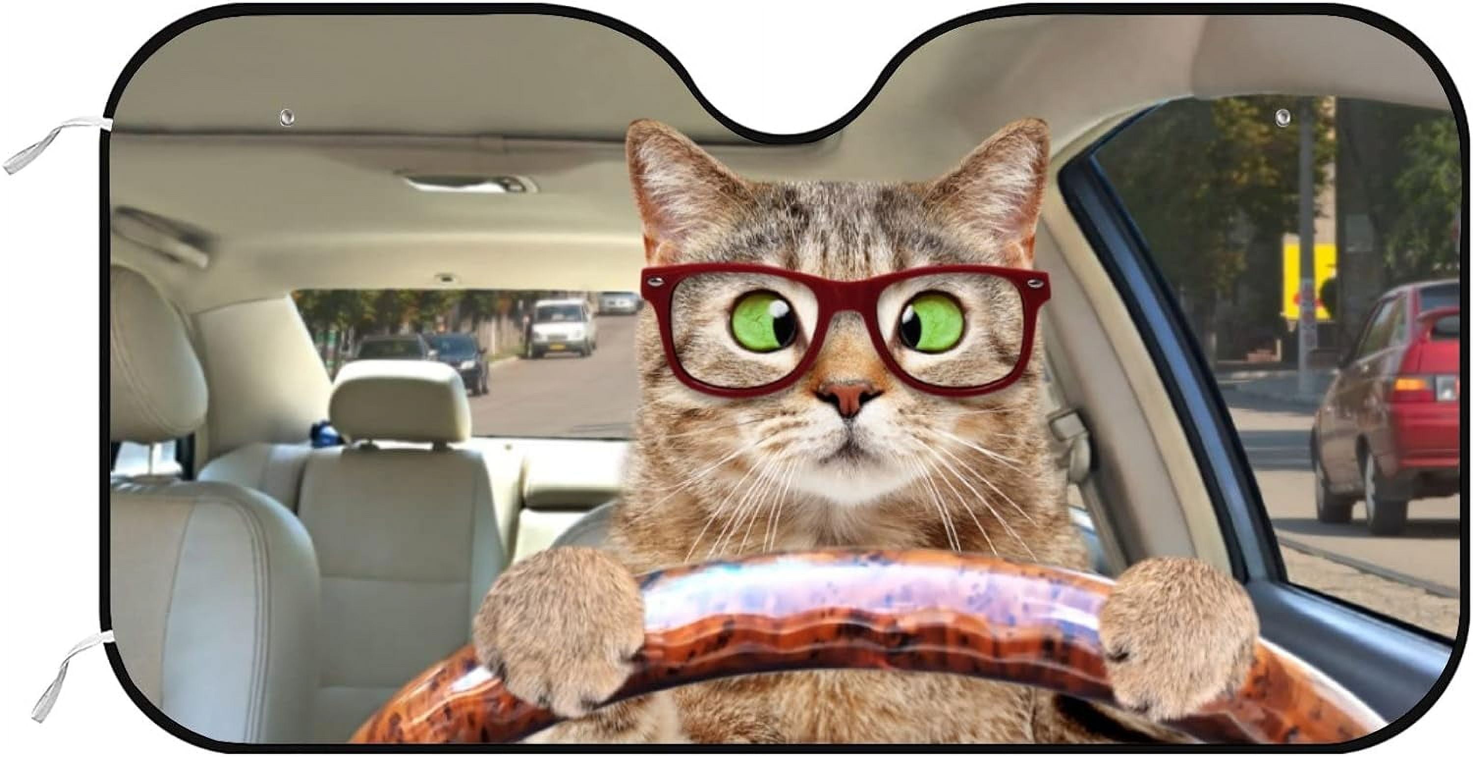 GZHJMY Car Windshield Sunshade Funny Cat with Glasses Driving a Car ...