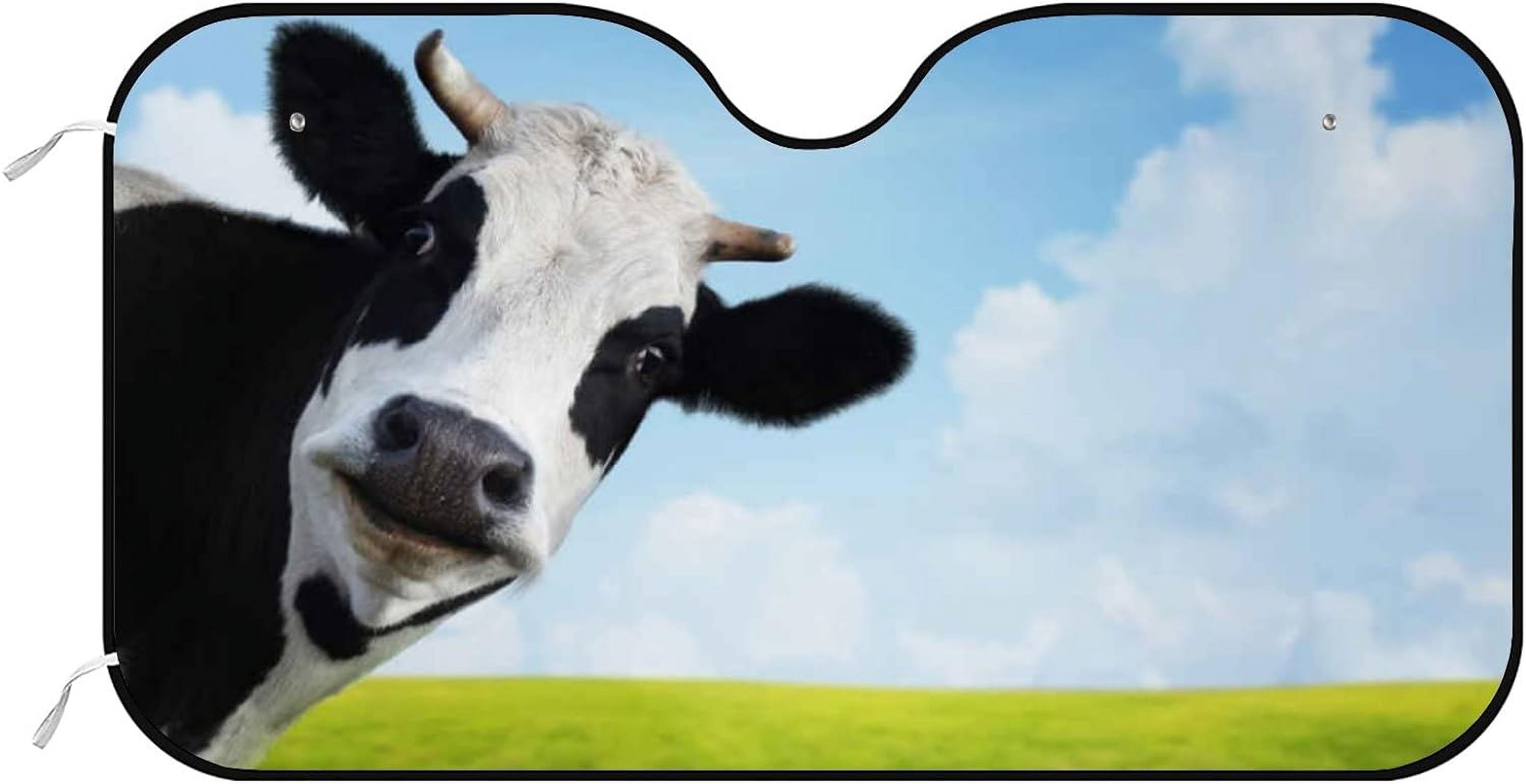GZHJMY Car Windshield Sunshade Funny Cow, Foldable Car Visor Front ...