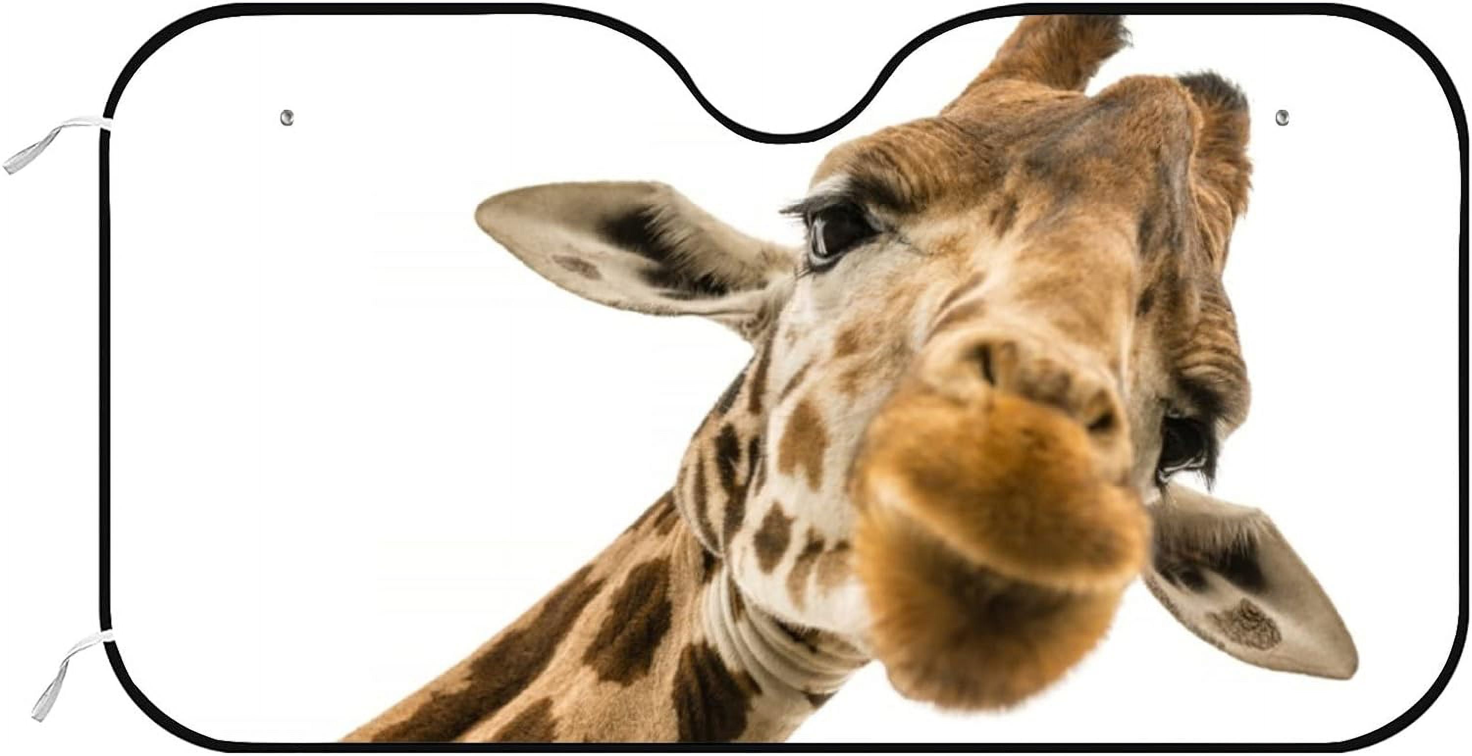 GZHJMY Car Windshield Sunshade Funny Giraffe, Foldable Car Visor Front ...