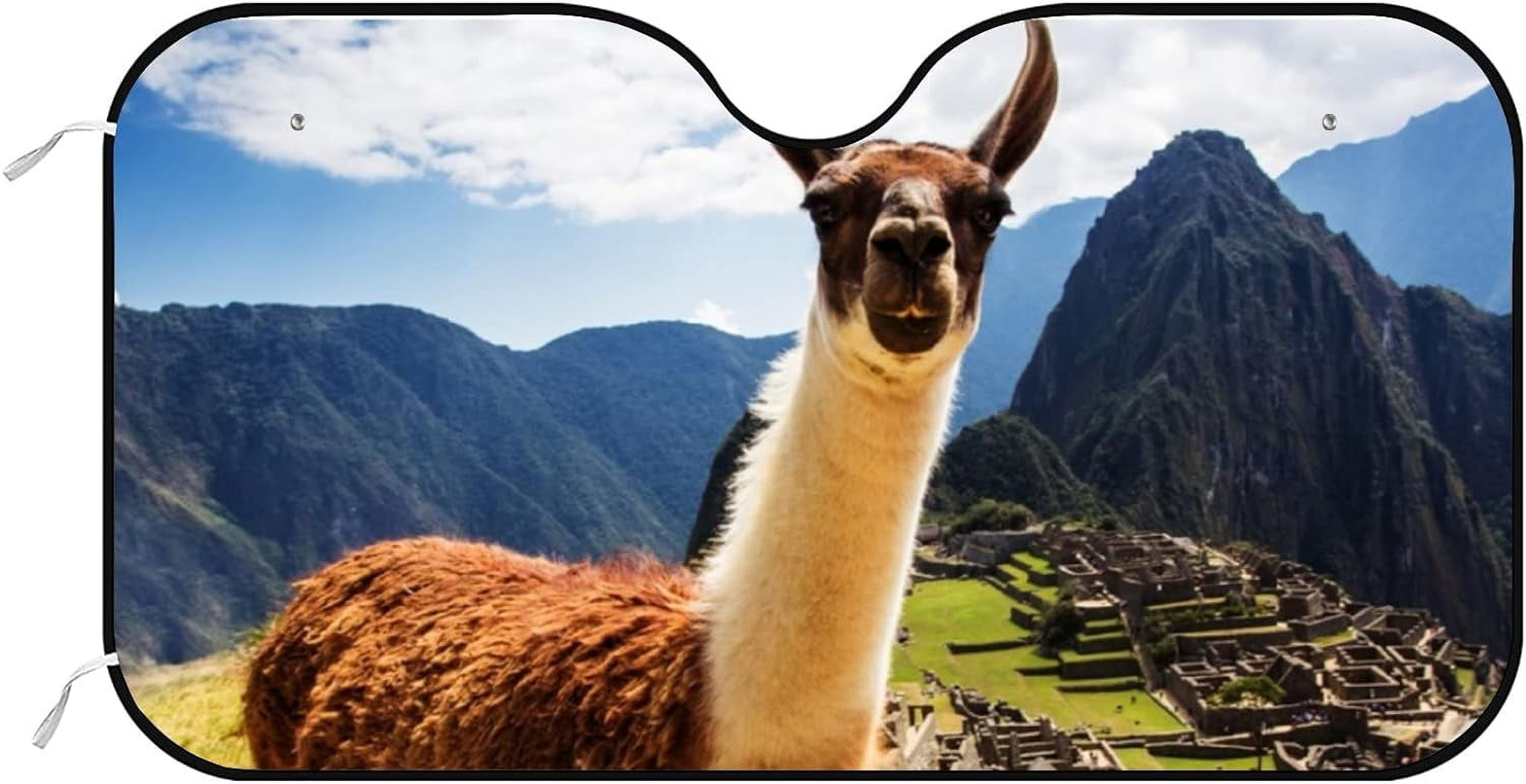 GZHJMY Car Windshield Sunshade Funny Lama, Foldable Car Visor Front ...