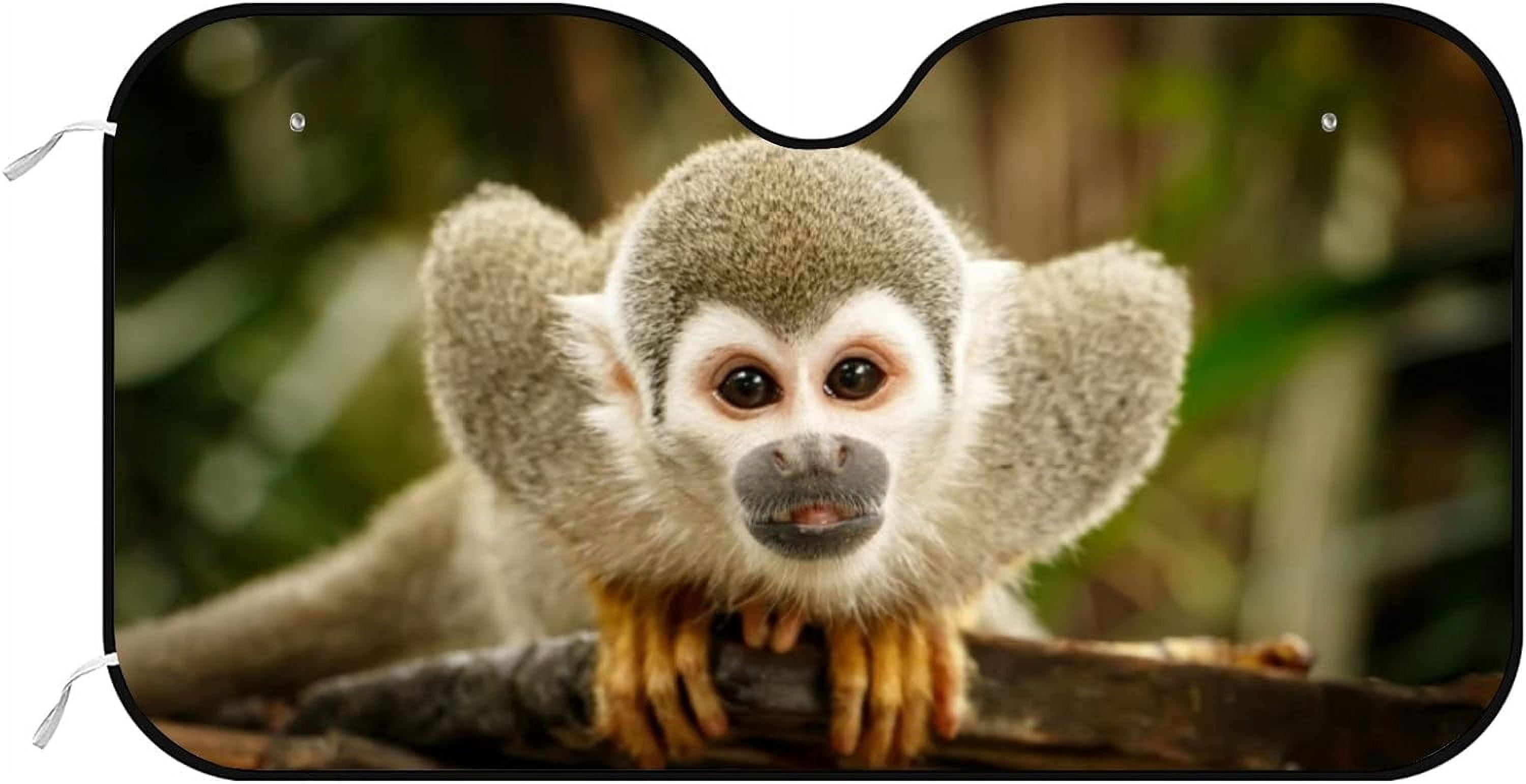 GZHJMY Car Windshield Sunshade Funny Monkey, Foldable Car Visor Front ...