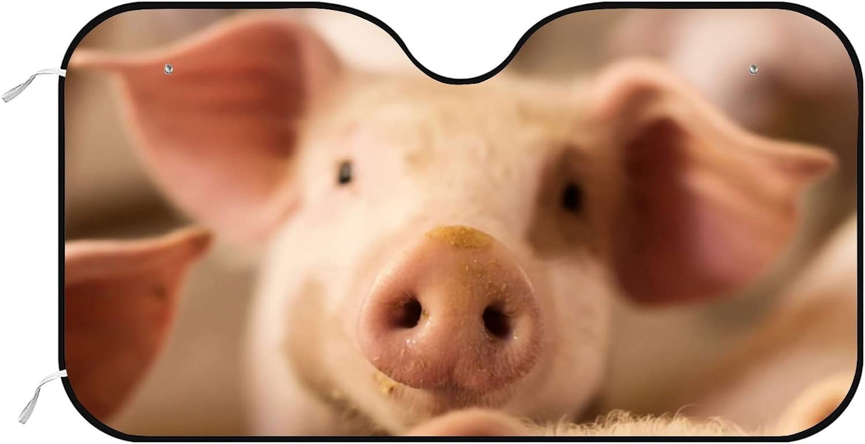 GZHJMY Car Windshield Sunshade Funny Pig, Foldable Car Visor Front ...