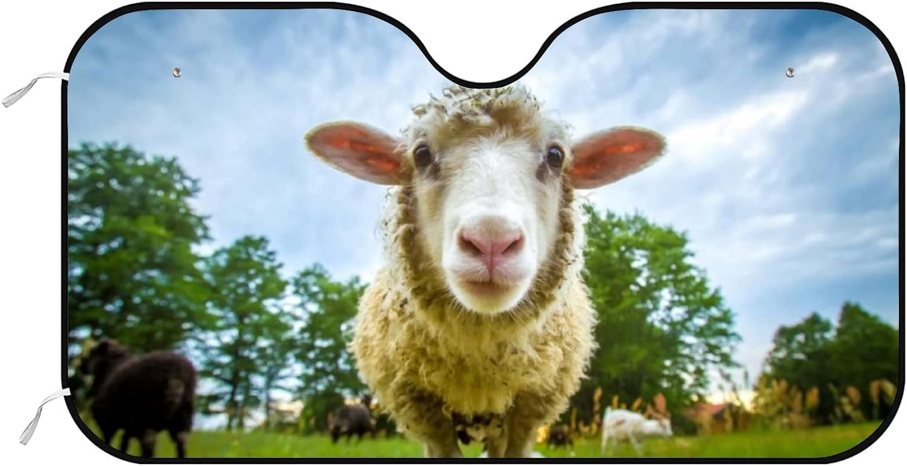 GZHJMY Car Windshield Sunshade Funny Sheep Farm Animal, Foldable Car ...