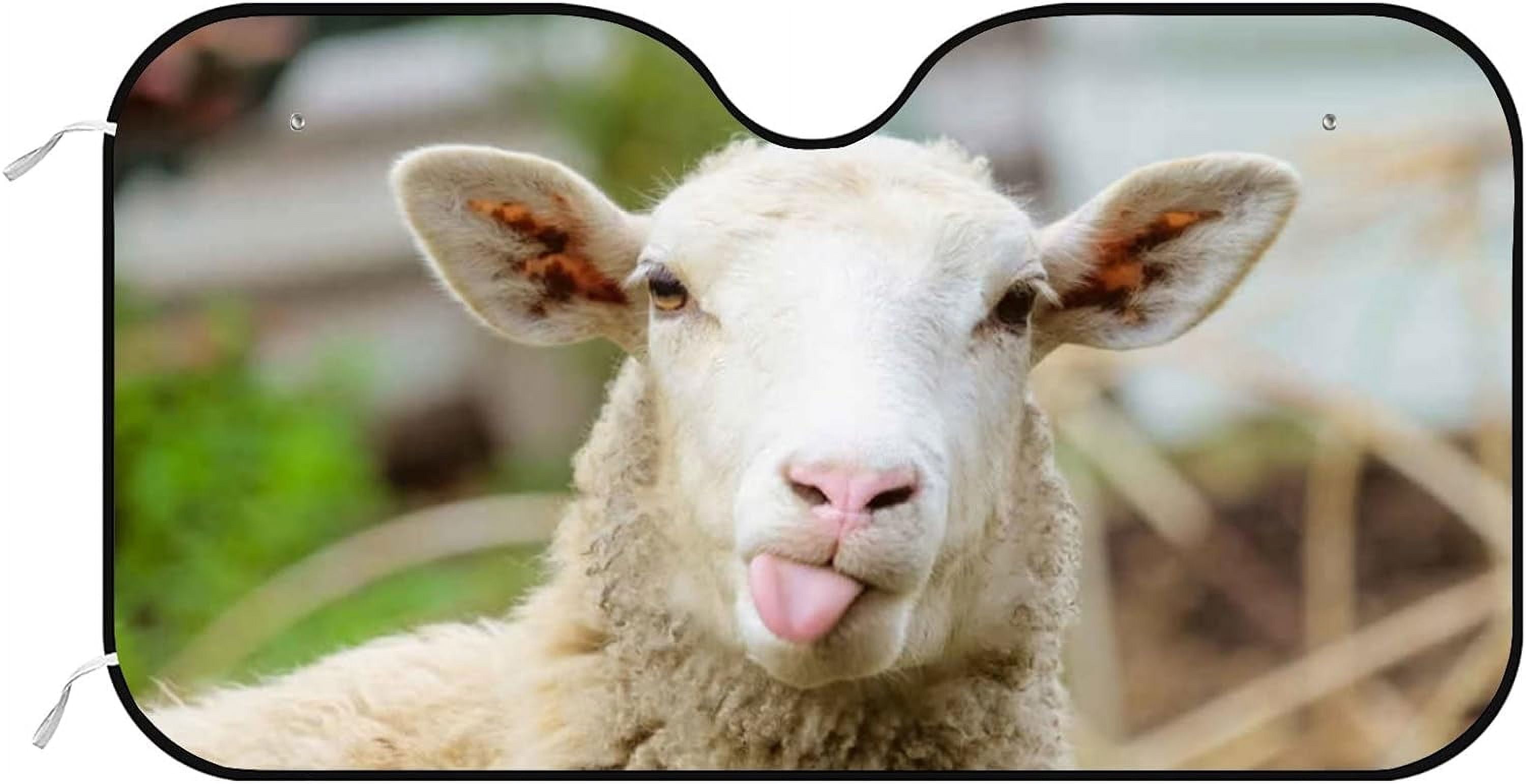 GZHJMY Car Windshield Sunshade Funny Sheep, Foldable Car Visor Front ...