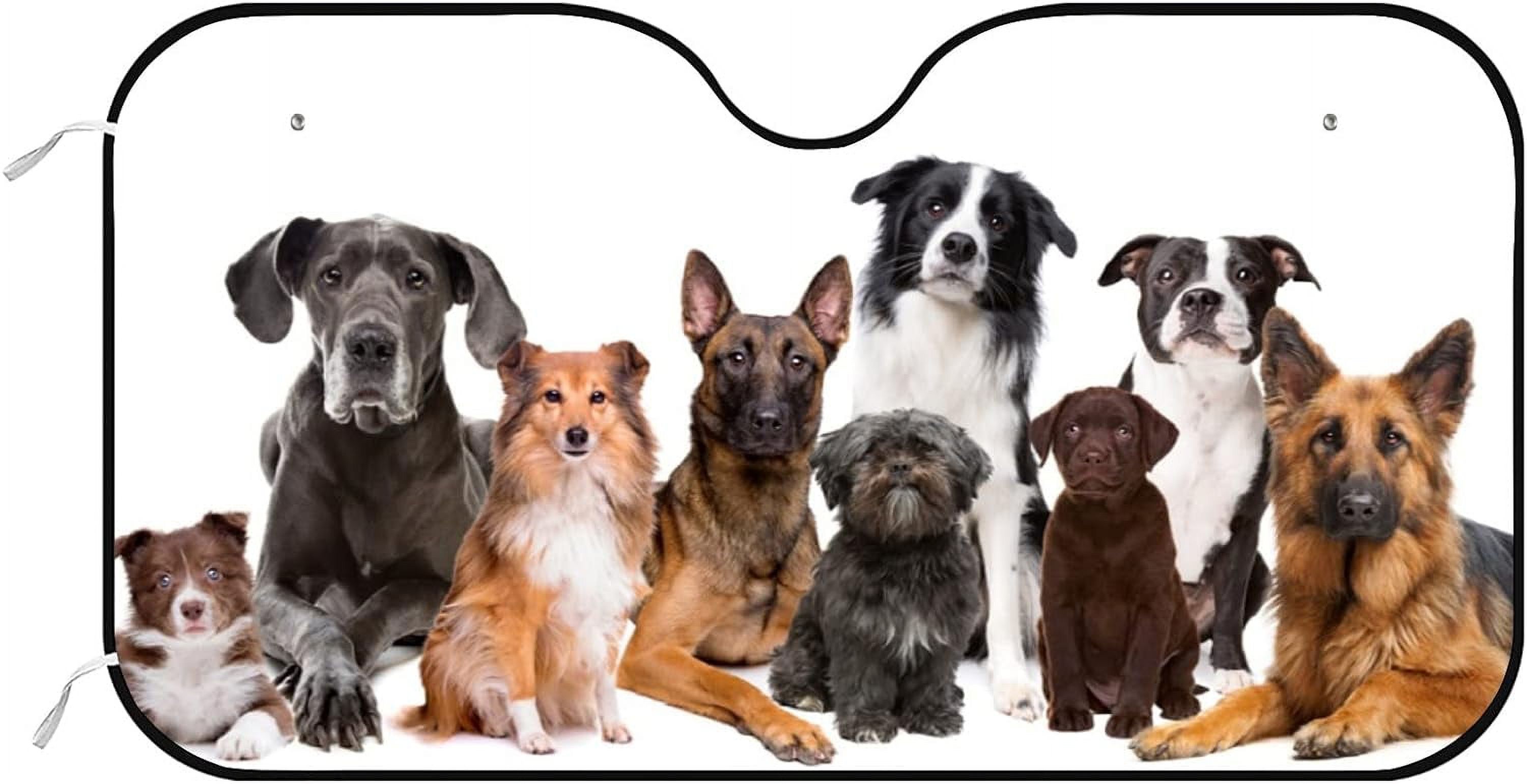 GZHJMY Car Windshield Sunshade Group of Dogs, Foldable Car Visor Front ...