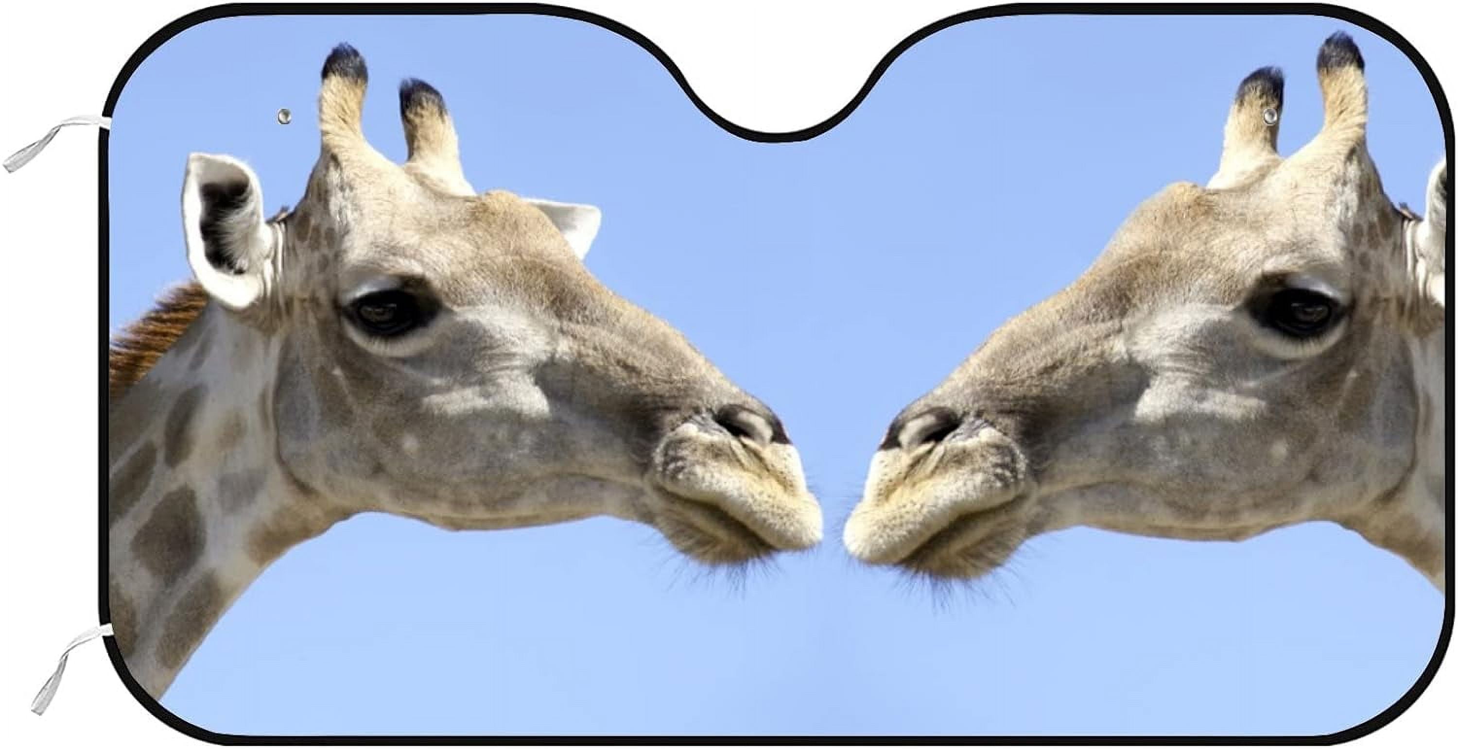 GZHJMY Car Windshield Sunshade Kissing Giraffes, Foldable Car Visor ...
